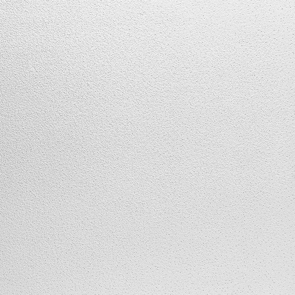 USG INTERIORS 1004 2-Feet by 2-Feet Alpine Ceiling Tile, 16 Pack ...