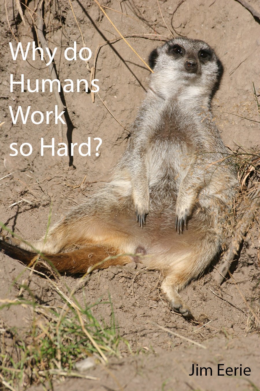 Amazon.com: Why do Humans Work so Hard? eBook : Eerie, Jim: Kindle Store