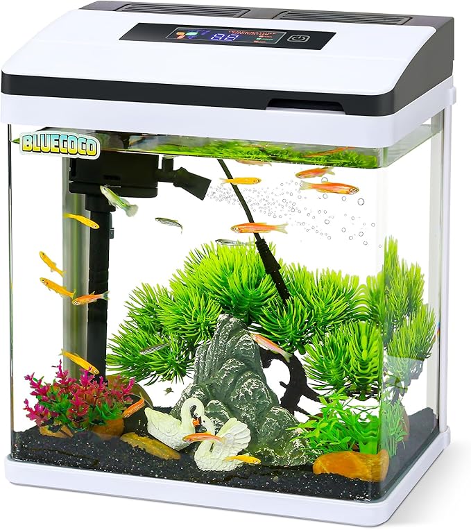 Amazon.com : Bluecoco 2.6 Gallon Glass Aquarium Fish Tank Starter Kit ...