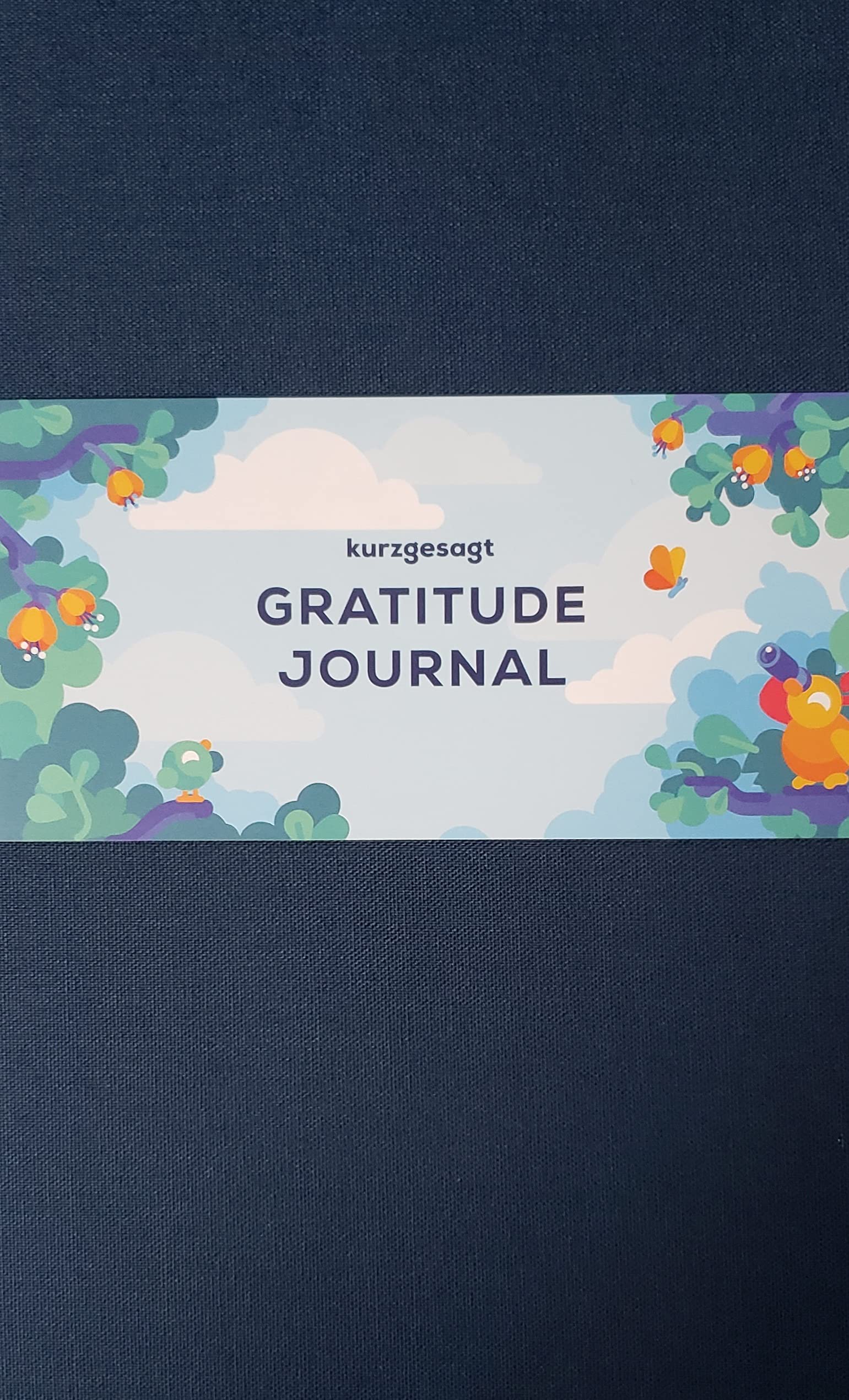 kurzgesagt - Gratitude Journal: Kurzgesagt: 9783000635205: Amazon.com ...
