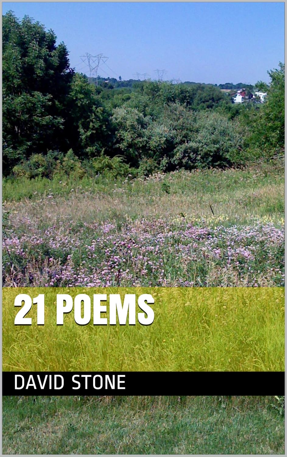 21 Poems eBook : Stone, David: Amazon.in: Kindle Store