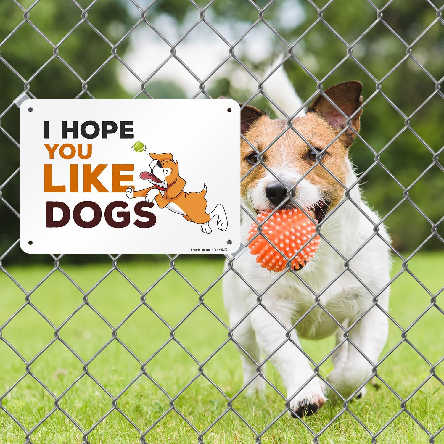 SmartSign I Hope You Like Dogs Funny Animal Sign - 10" x 7", 40 mil ...