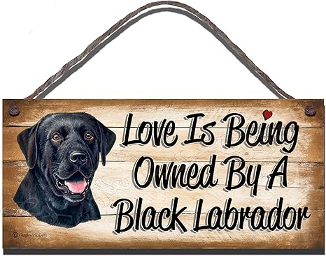 Birthday occasion Black Labrador Wooden Funny Sign Wall Plaque Gift ...