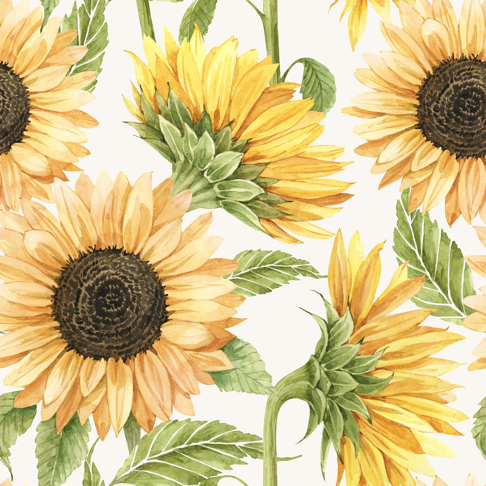 Mangoloo Golden Sunflower Wallpaper Modern Floral Peel and Stick ...