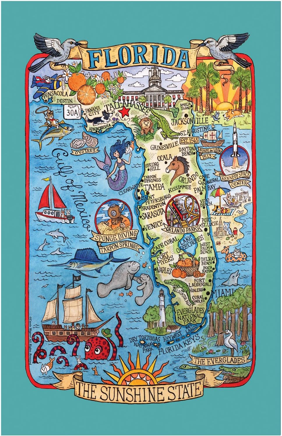 Amazon.com: Florida State Tea Towels Souvenir Gifts Set of 2, Cotton ...
