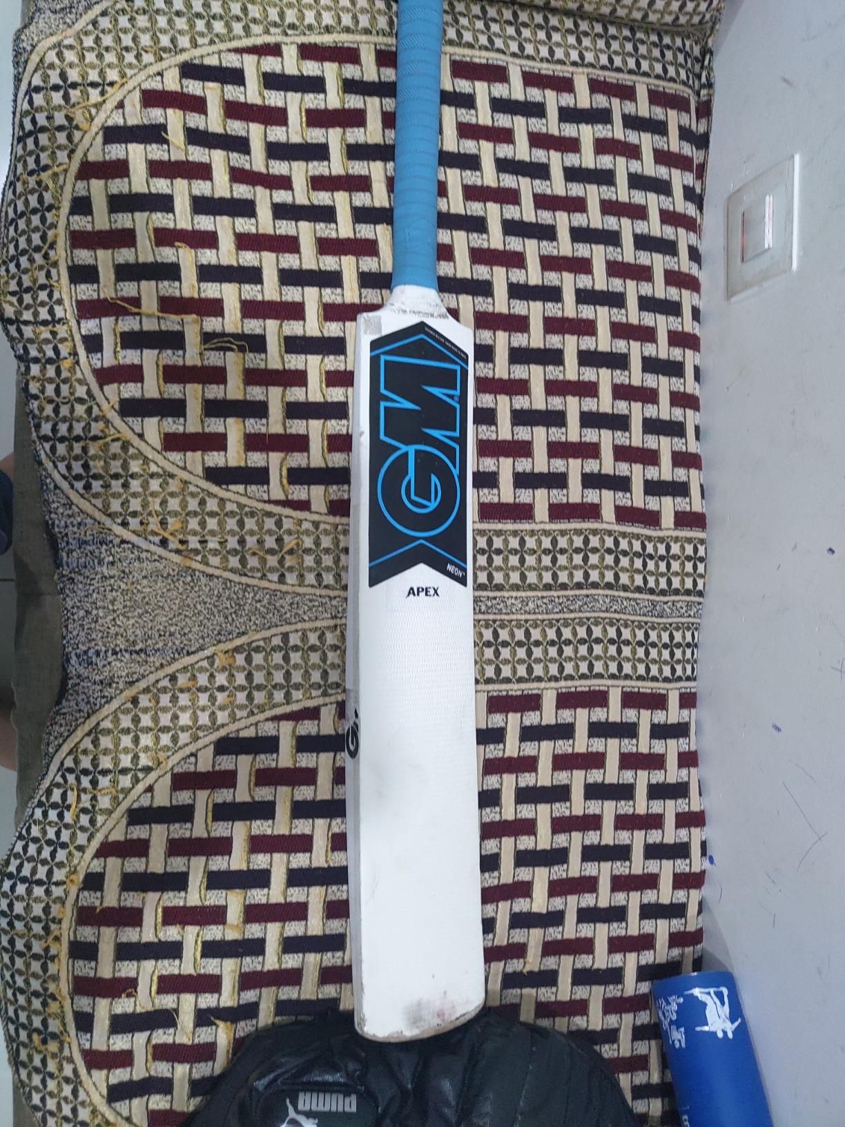 GM Neon Apex Kashmir Willow Cricket Bat | Material: Wood | for Men ...