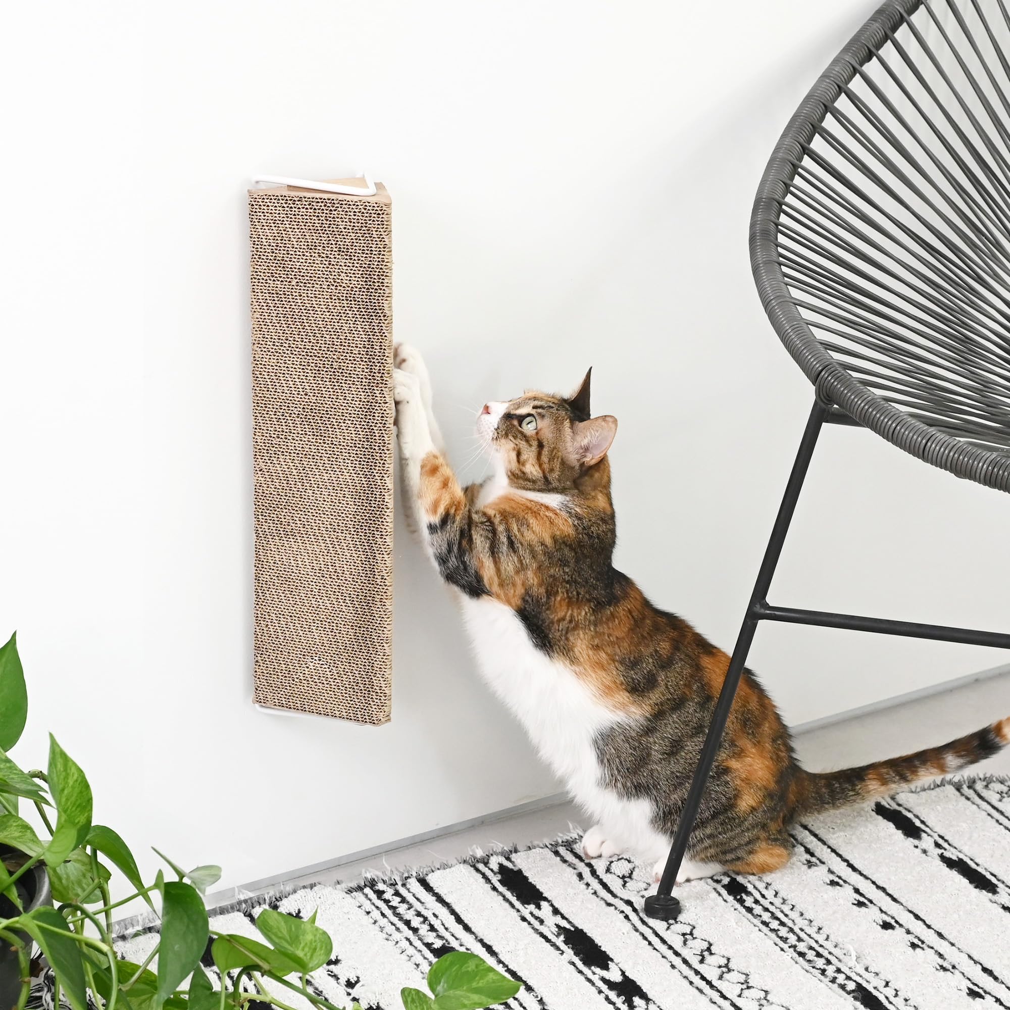 Amazon.com: xympo Wall Mounted Scratching Post, Triangular Cat ...
