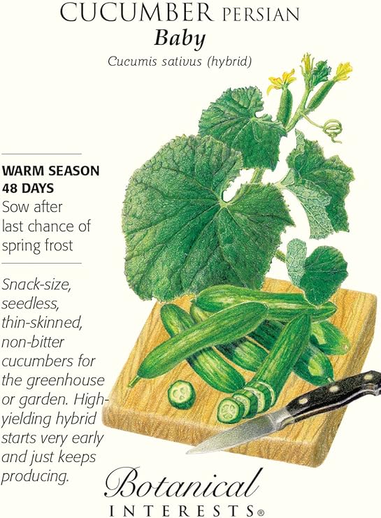 Amazon.com: Persian Baby Cucumber - 8 Seeds - Botanical Interests ...