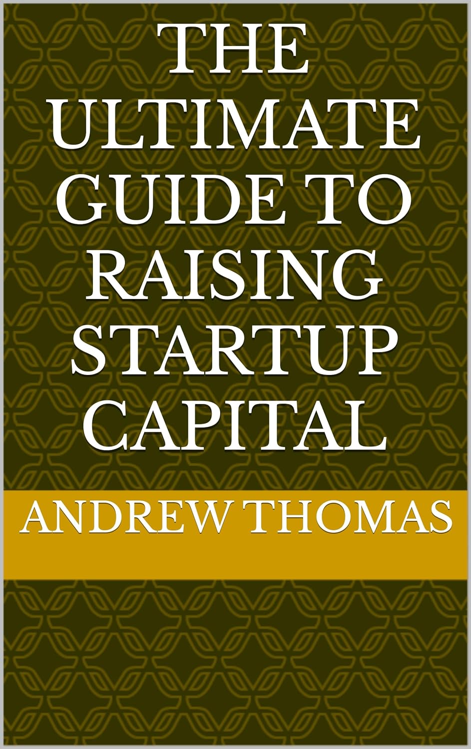 The Ultimate Guide To Raising Startup Capital eBook : Thomas, Andrew ...