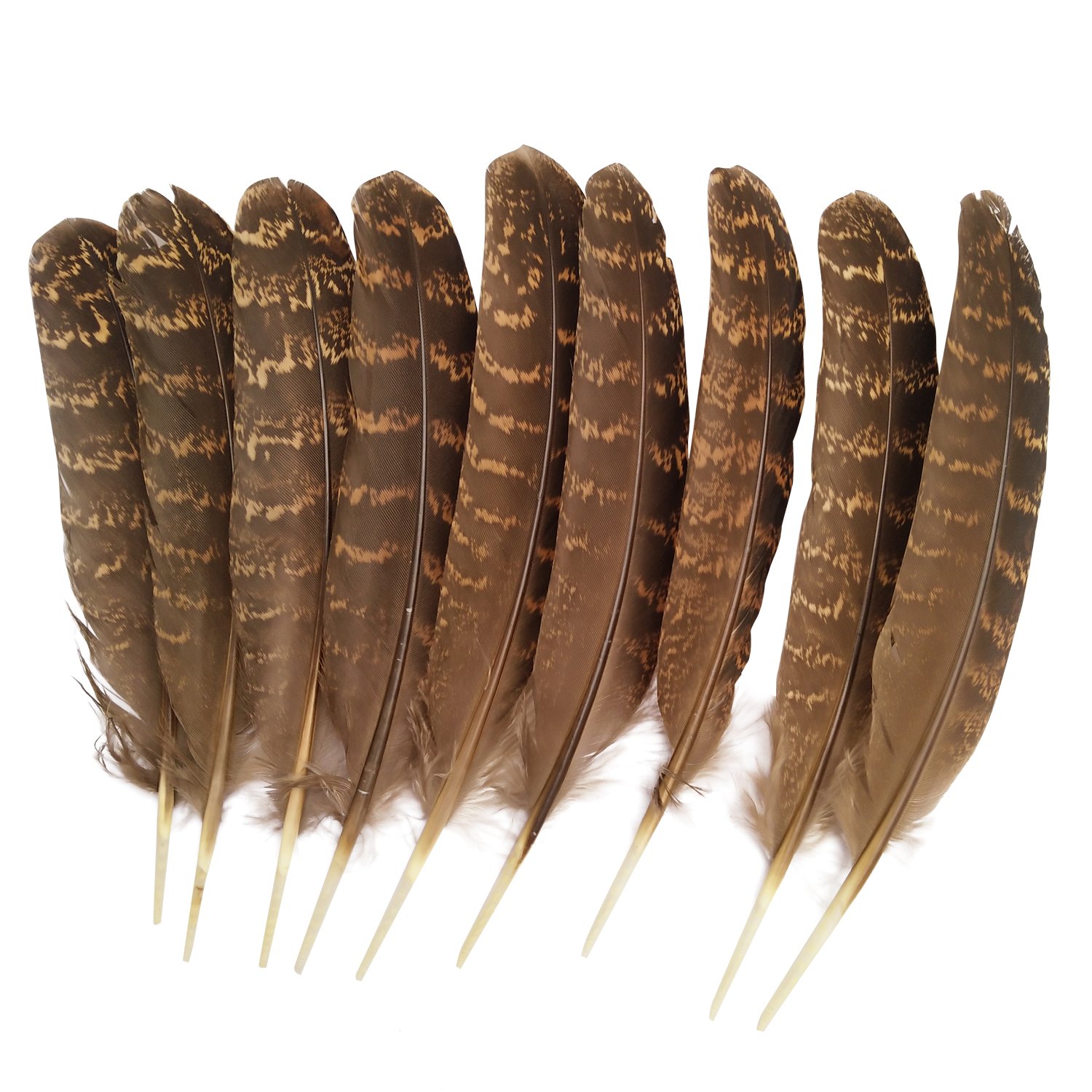 Eagle Feather