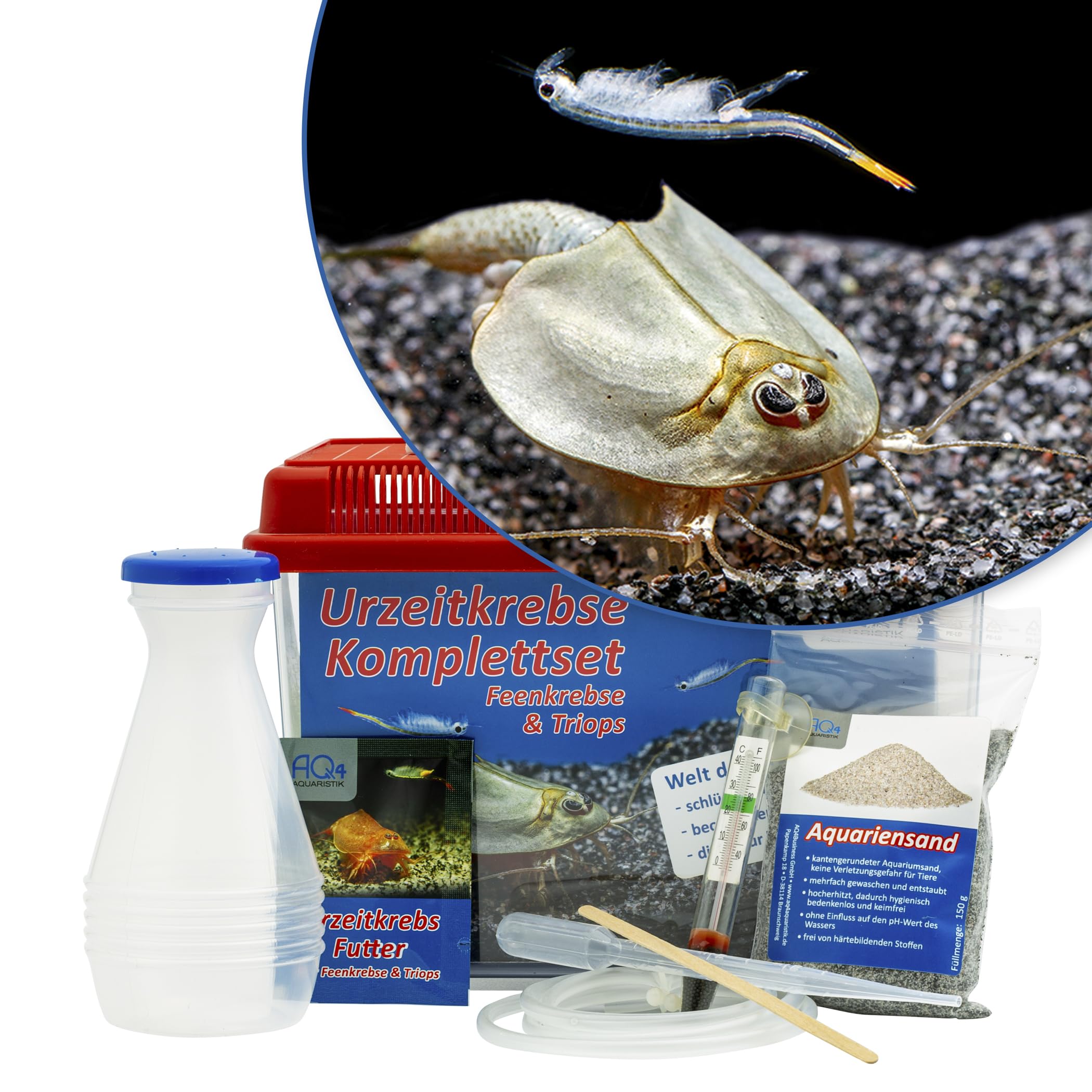 AQ4Aquaristik Triops und Feenkrebse Urzeitkrebse Starter Set: Eier, 2,5 ...