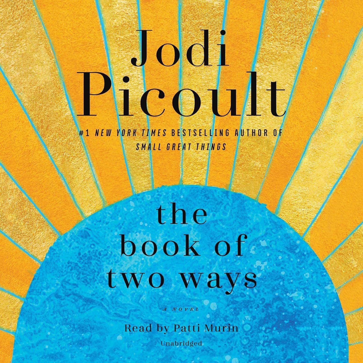 Amazon.com: The Book of Two Ways: A Novel (Audible Audio Edition): Jodi ...