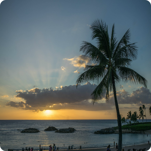 Hawaii Travel Guide - App on Amazon Appstore