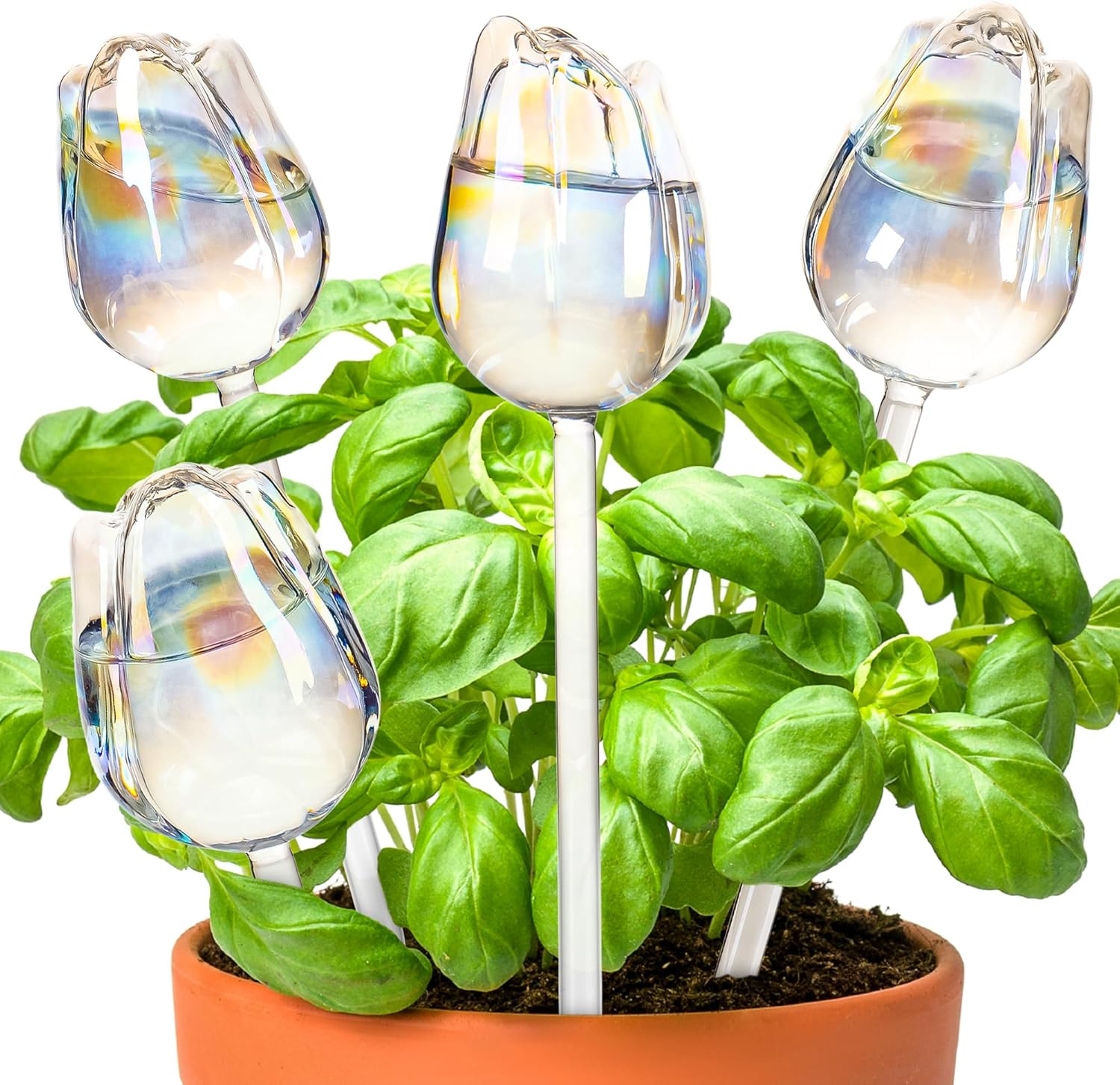 Amazon.com: Nhmpretty Plant Watering Globes Hand-Blown Colorful Glass ...