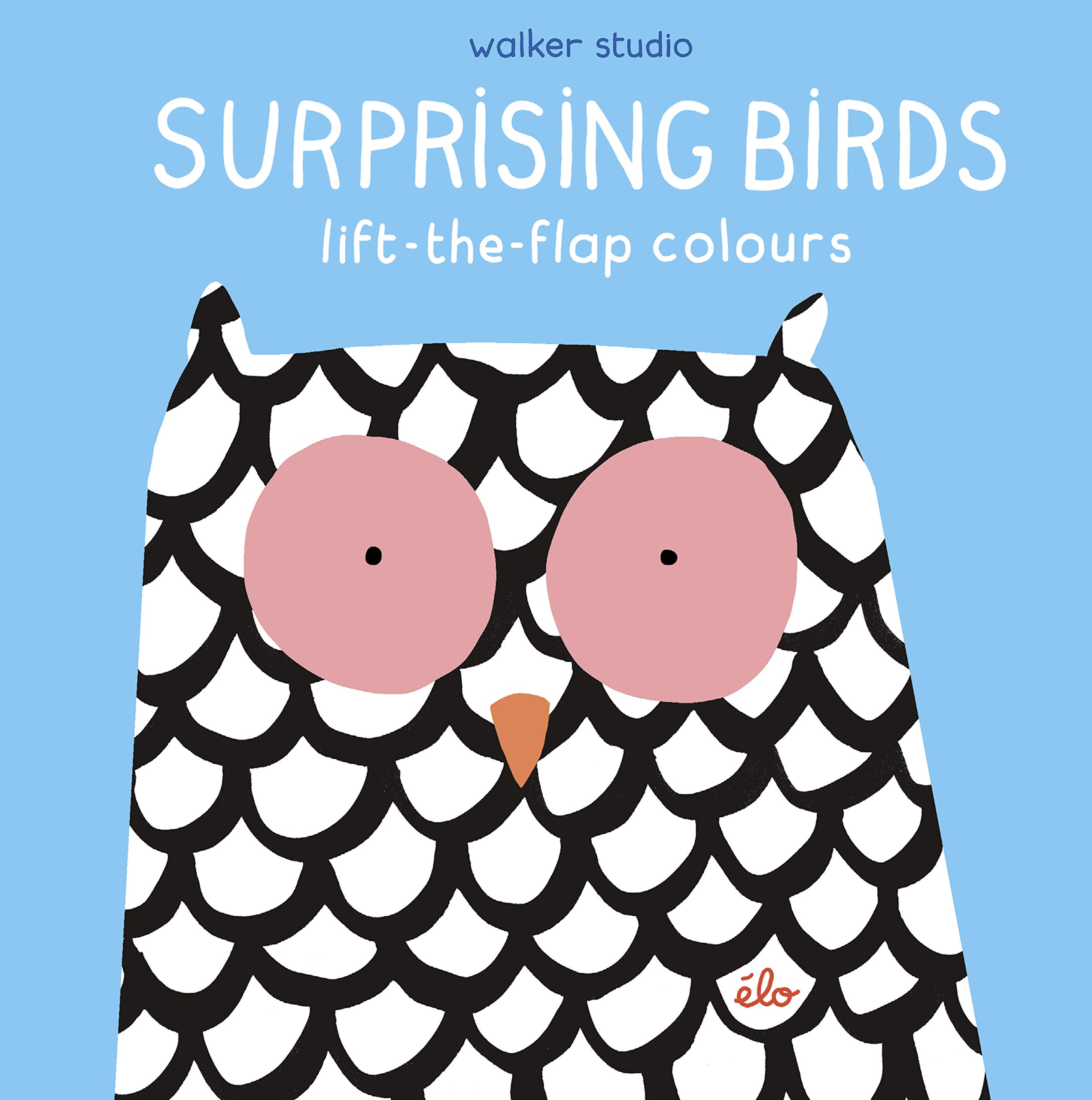 Surprising Birds Lift The Flap Colours: élo: 9781406379501: Amazon.com ...