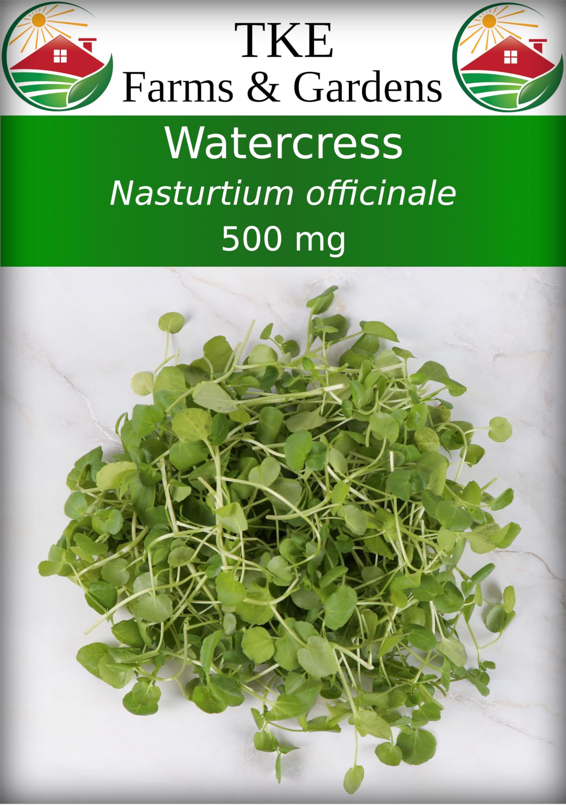 Amazon.com : Vietnamese Balm-kinh Giới (500 Seeds) 30 Days to Harvest ...