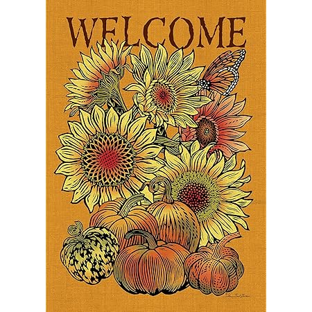 Amazon.com: Toland 1112539 Butterfly Daisies 12.5 x 18 Inch Decorative ...