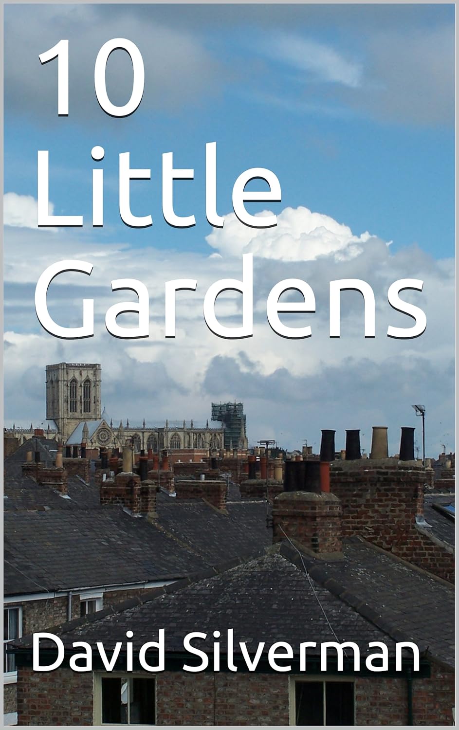 10 Little Gardens - Kindle edition by Silverman, David. Literature ...