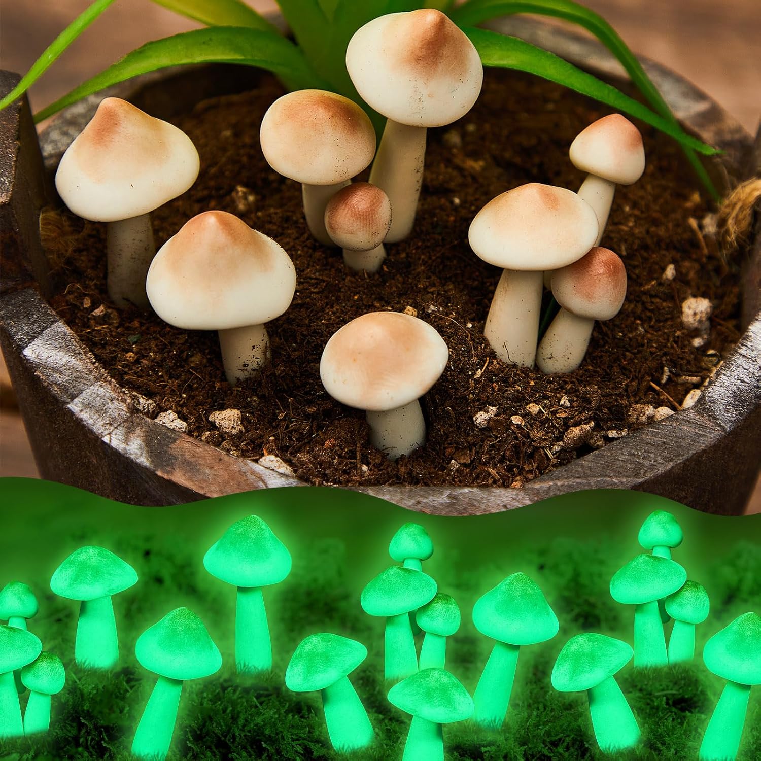 Amazon.com : Taiyin 5 Pcs Luminous Mushroom Miniature Garden Mushrooms ...