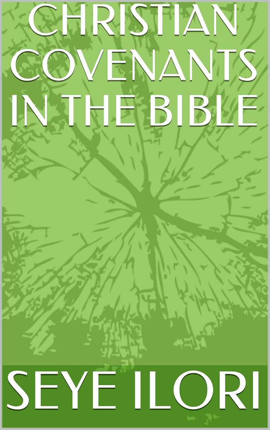 Christian covenants in the Bible - Kindle edition by ilori, Seye ...
