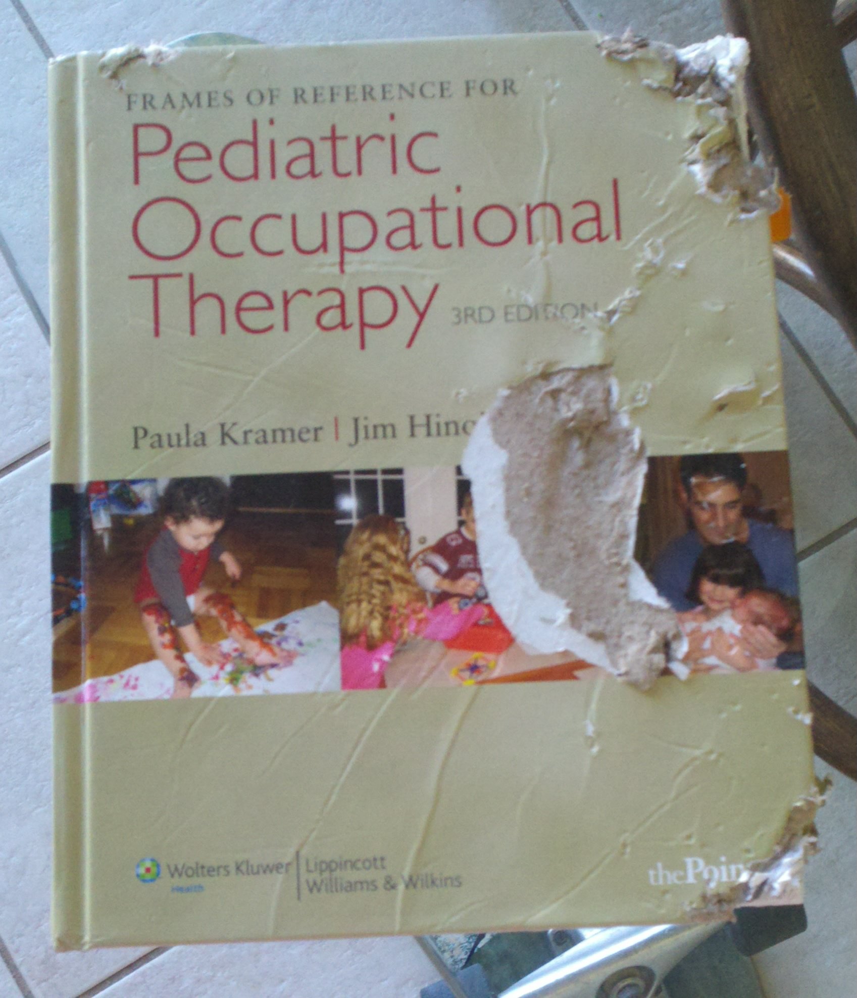 Frames of Reference for Pediatric Occupational Therapy: 9780781768269 ...
