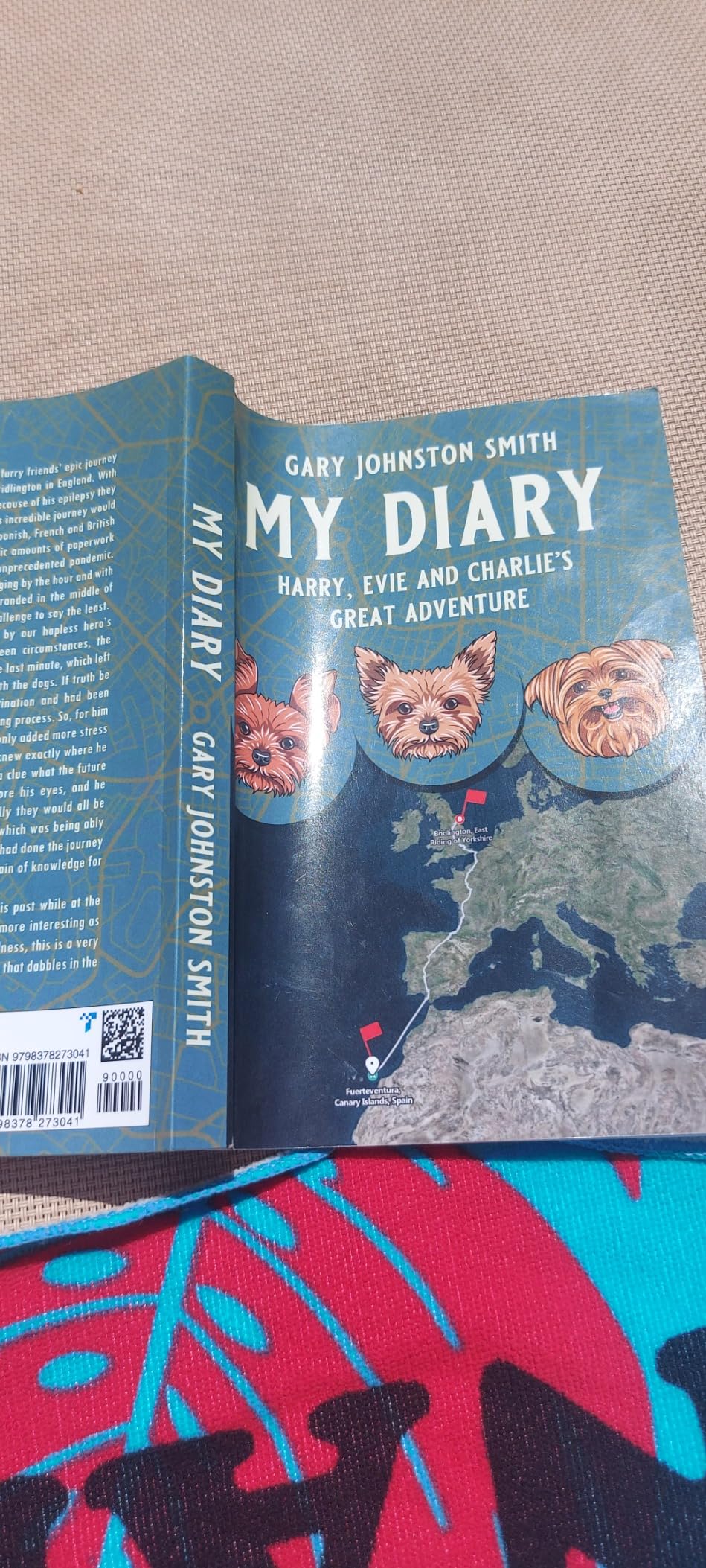 MY DIARY: Harry, Evie and Charlie’s Great Adventure eBook : Smith, Gary ...