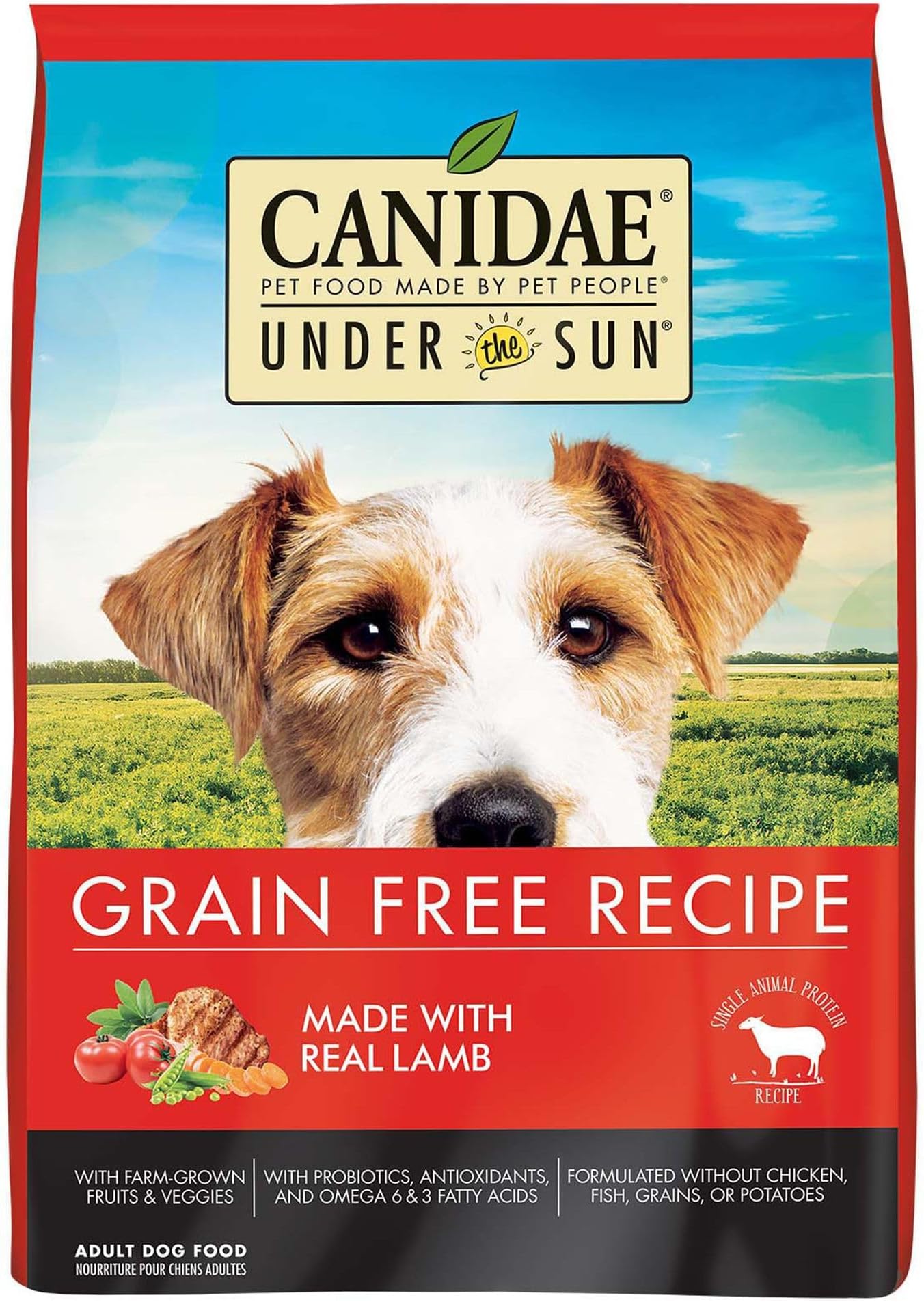 Amazon.com: Canidae All Life Stages Dry Dog Food, Less Active Formula ...