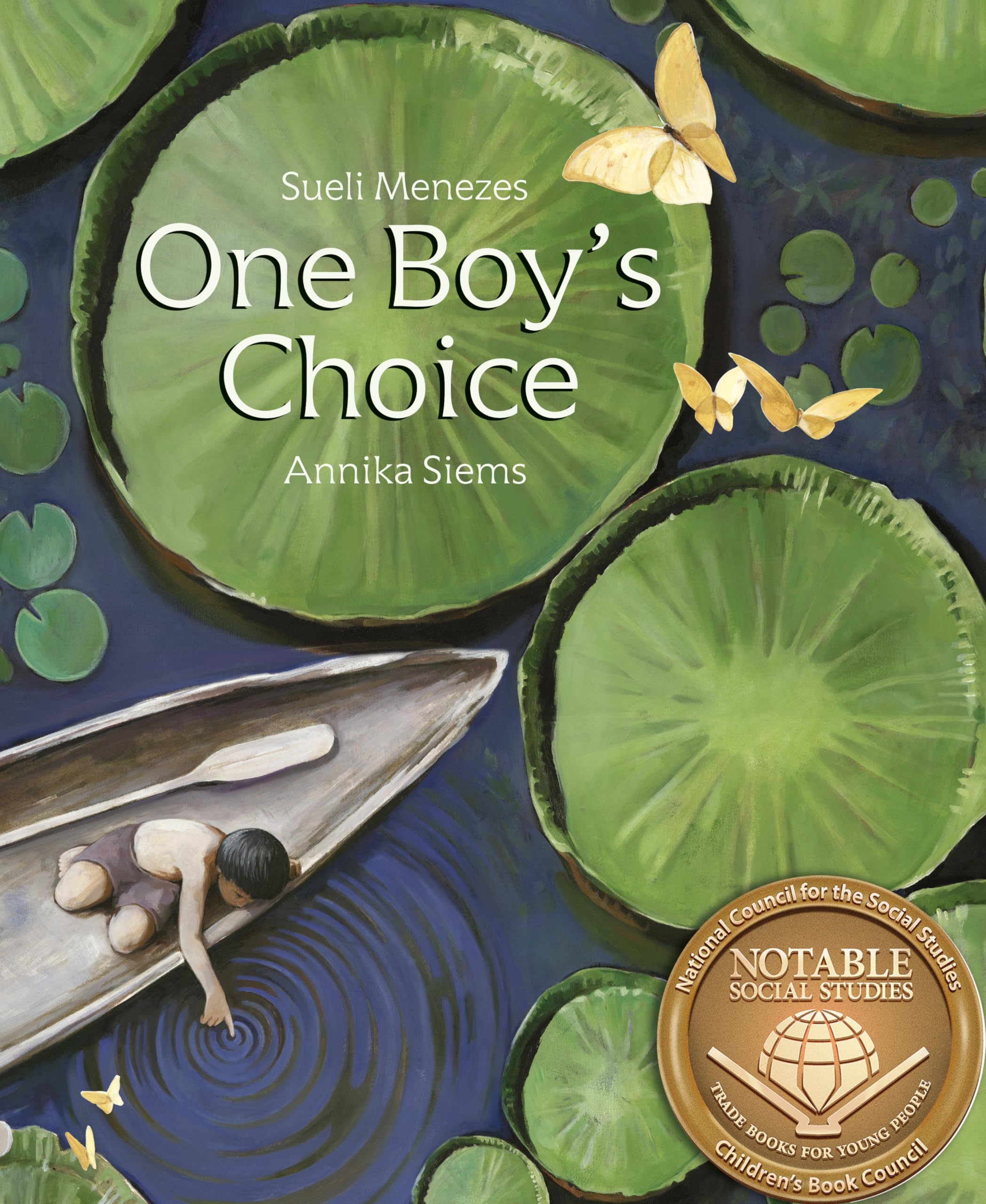 One Boy's Choice: A Tale of the Amazon: Menezes, Sueli, Siems, Annika ...