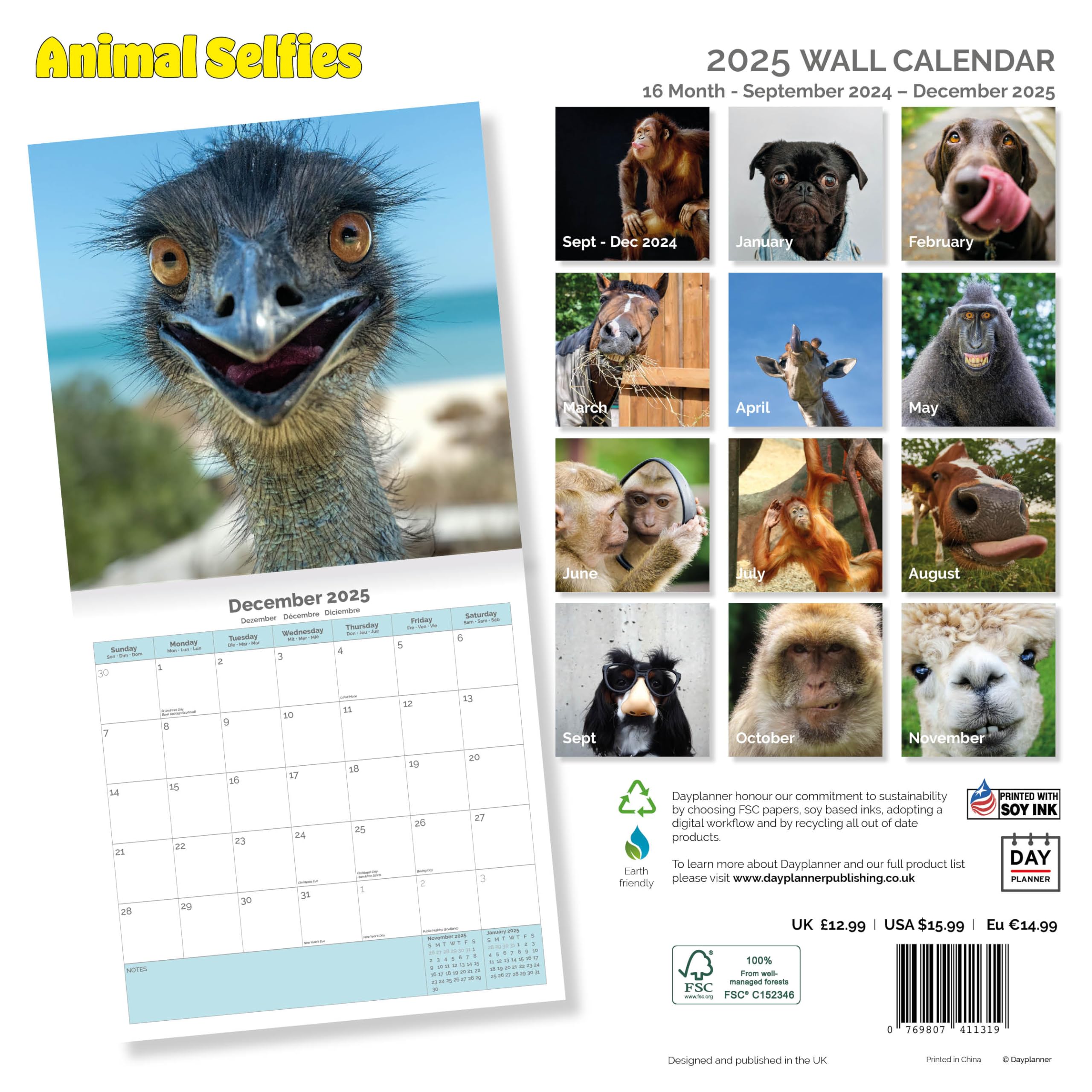 Dayplanner Publishing Animal Selfies Calendar 2025, Large Square Wall ...