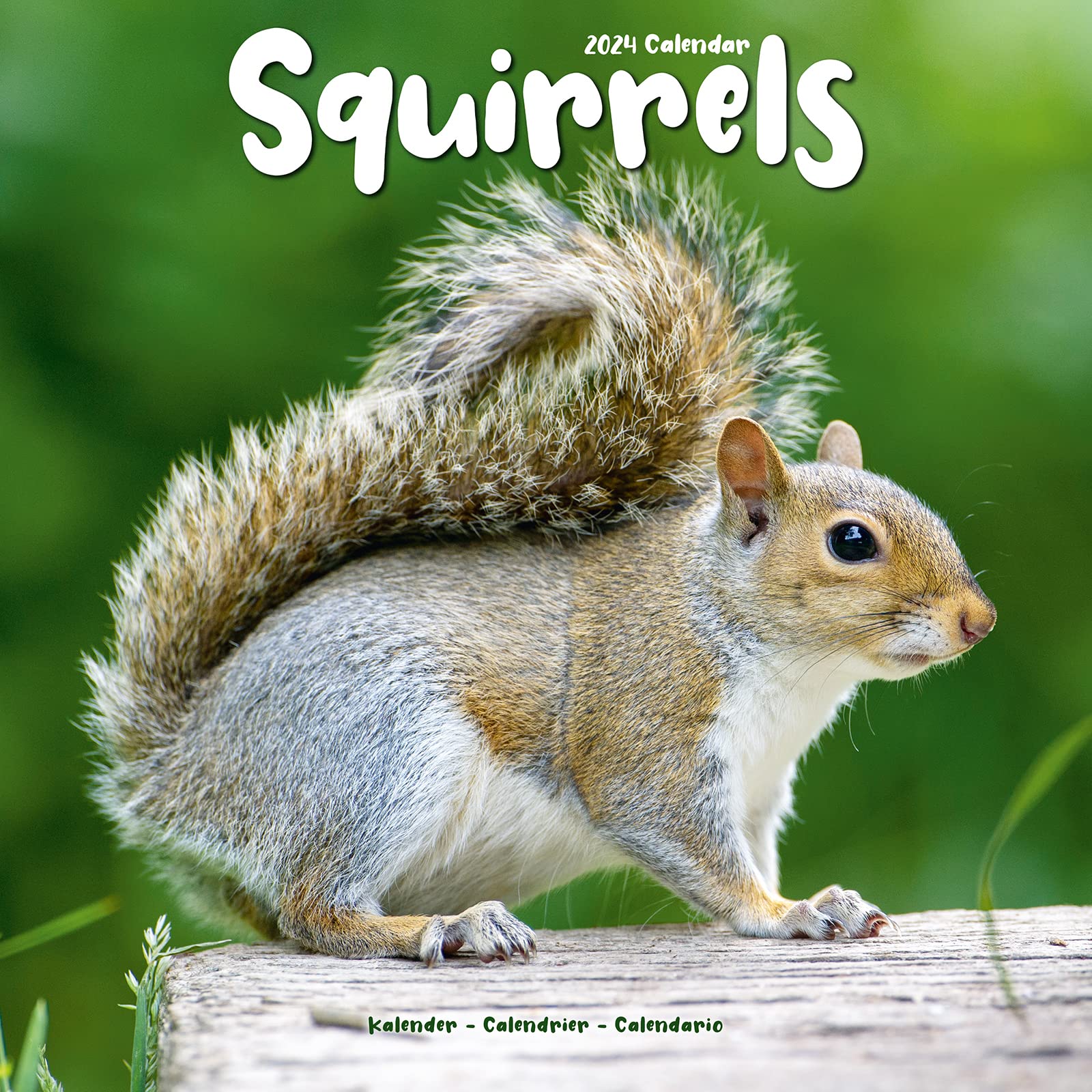 Squirrel Calendar - Cute Animal Calendar - Calendars 2023 - 2024 Wall ...