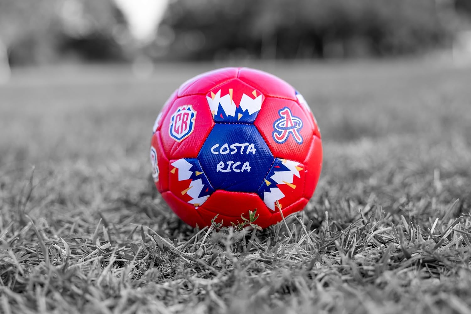 Mini Balón de Fútbol Copa América 2024, Chile | Ubuy