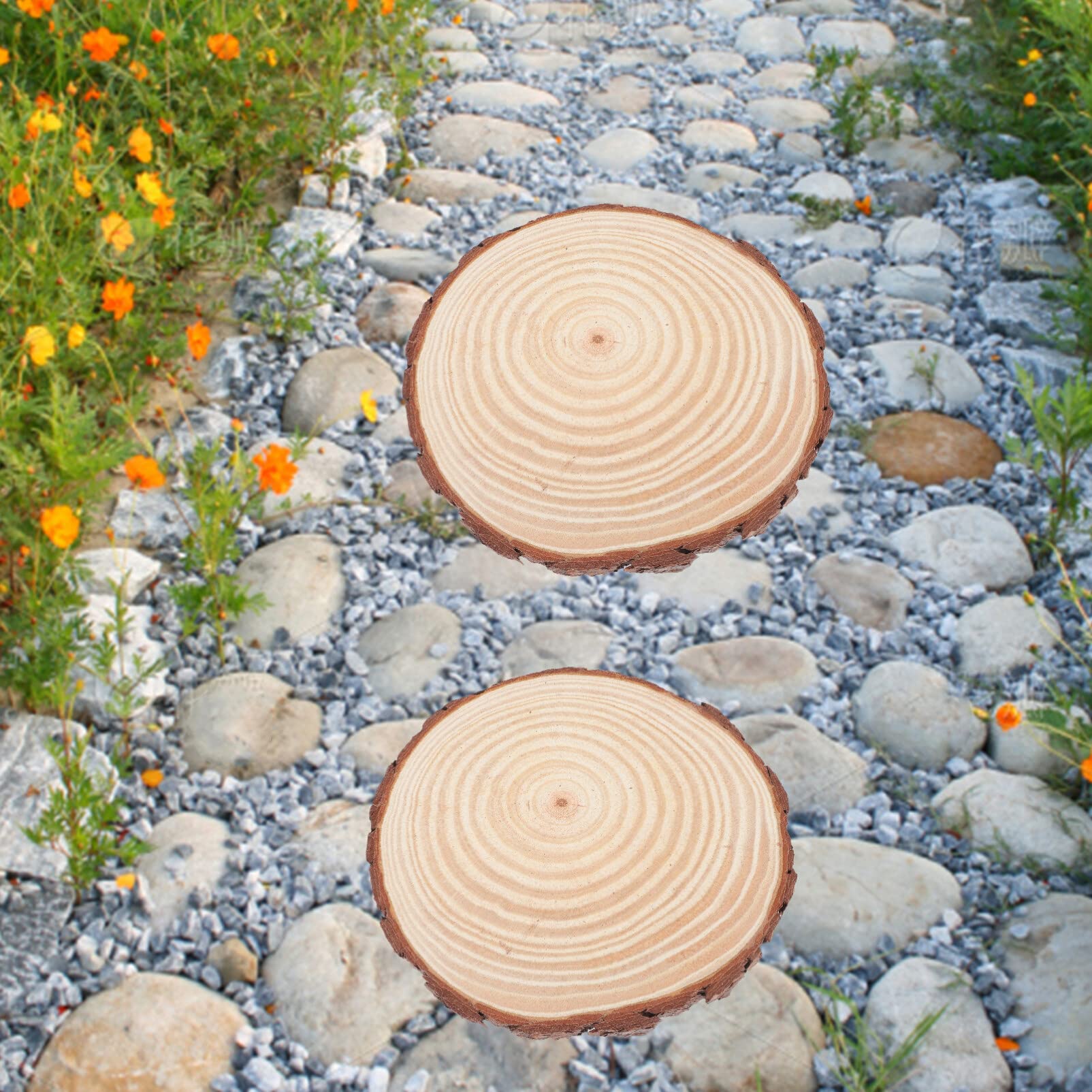 Stepping Stone Tree Bark
