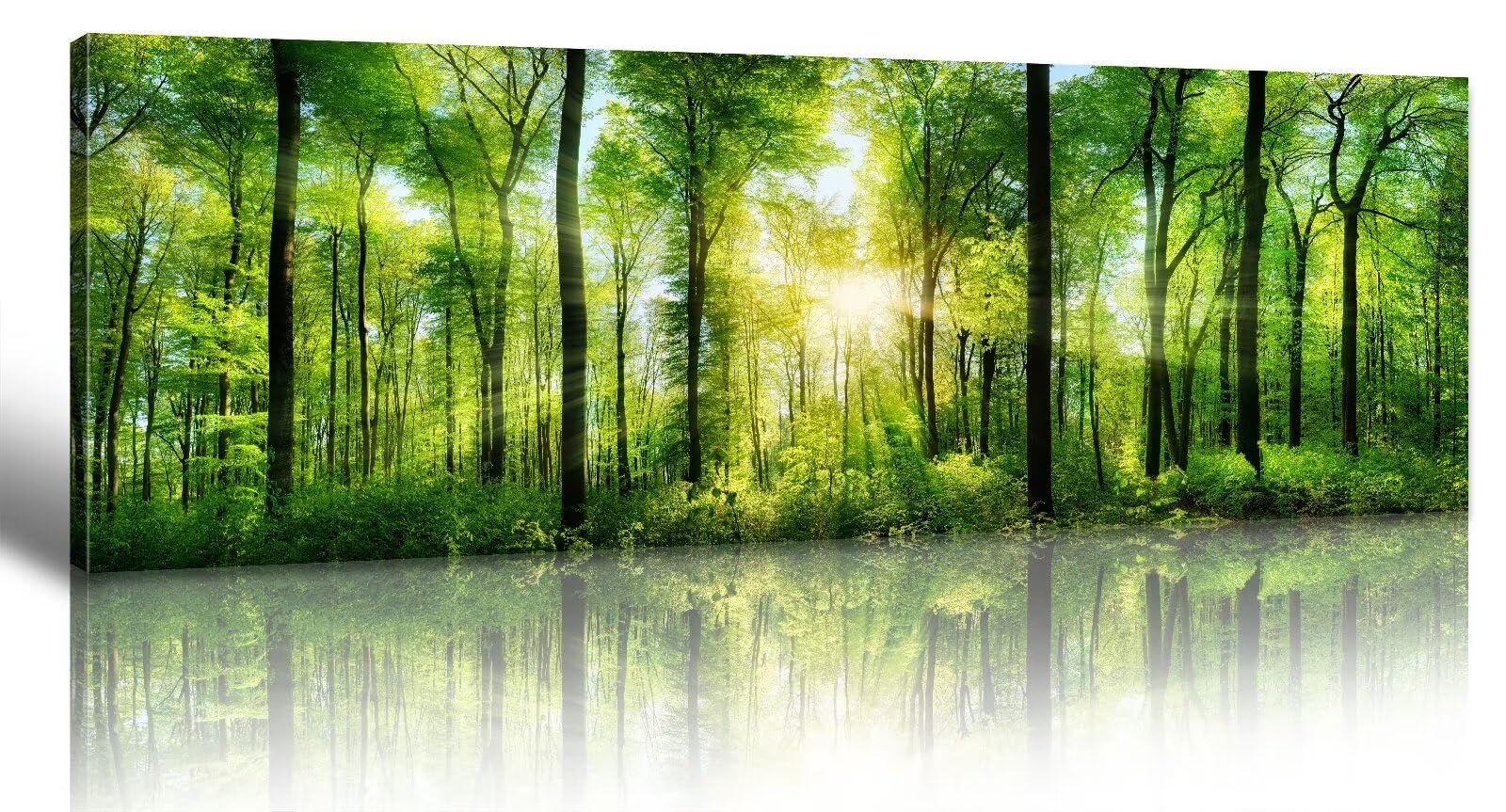 Amazon.com: Large Framed Forest Wall Art - Nature Wall Decor Canvas ...