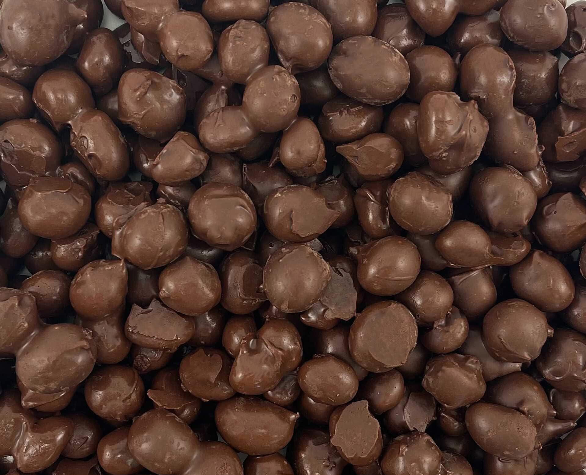 Amazon.com : Double Dipped Peanuts Milk Chocolate Covered Peanuts 1 ...