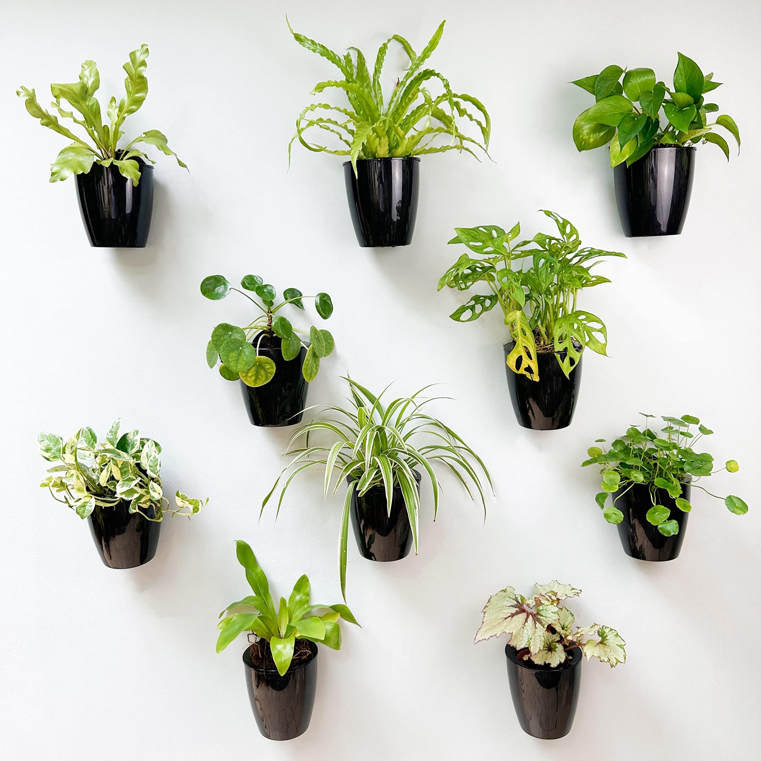 Lot de 2 grands pots de fleurs muraux en bois à suspendre pour plantes ...