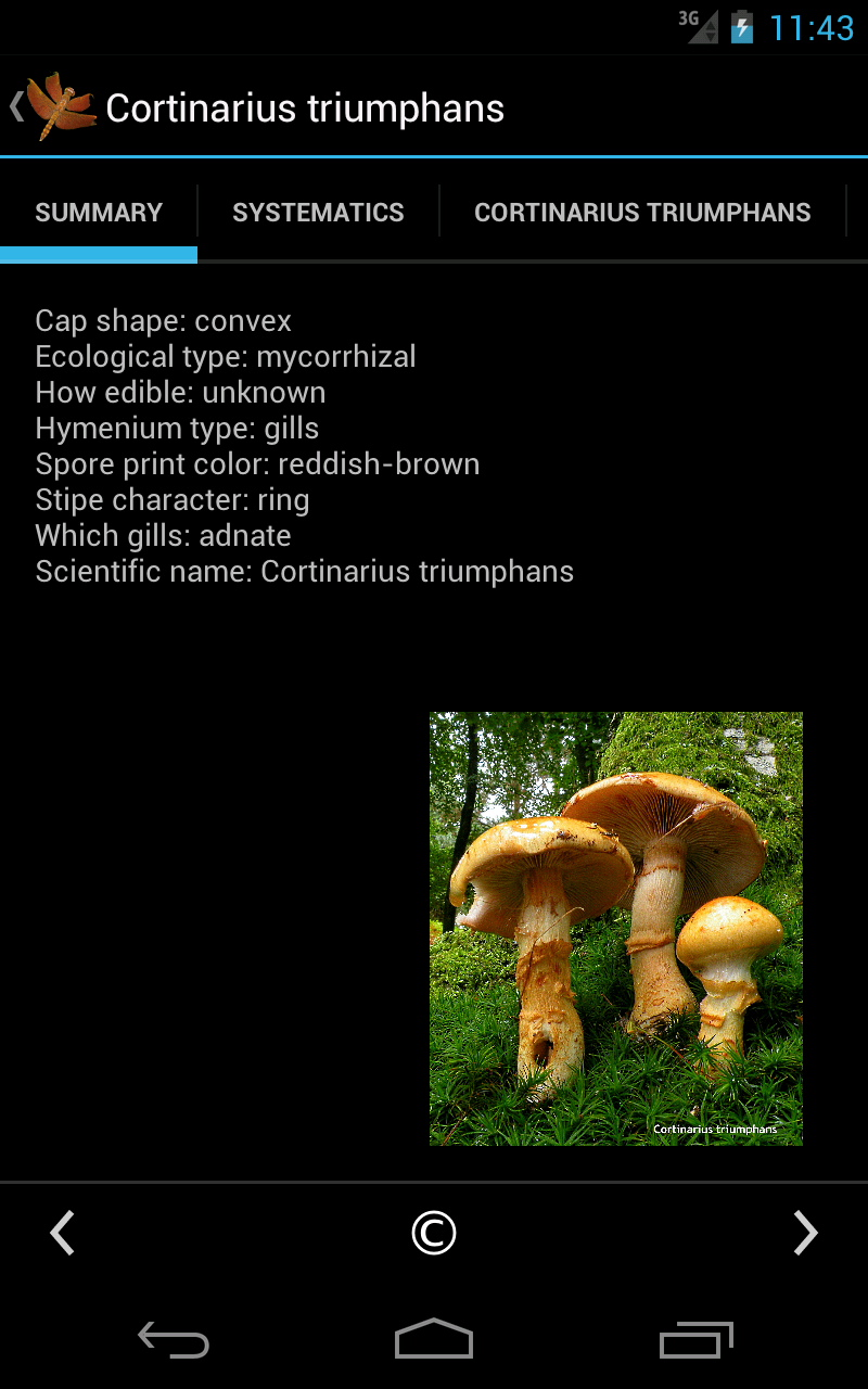 BioGuide (alpha preview) - App on the Amazon Appstore