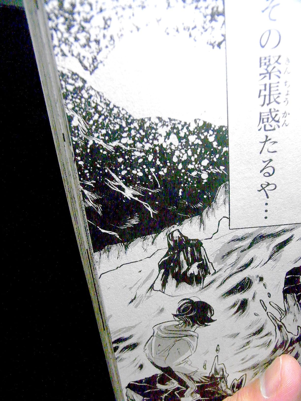 Amazon.co.jp: SANDA 13 (13) (少年チャンピオンコミックス) : 板垣巴留: 本