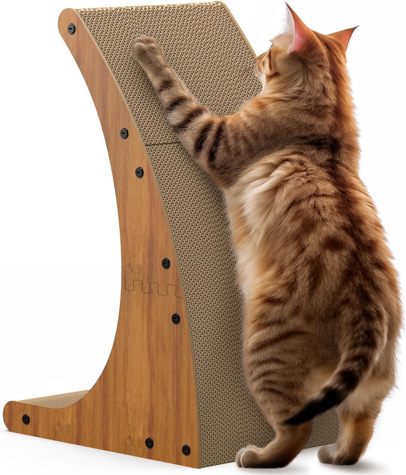 Amazon.com : Cat Scratcher, Durable, Easy to Assemble, Vertical Curved ...