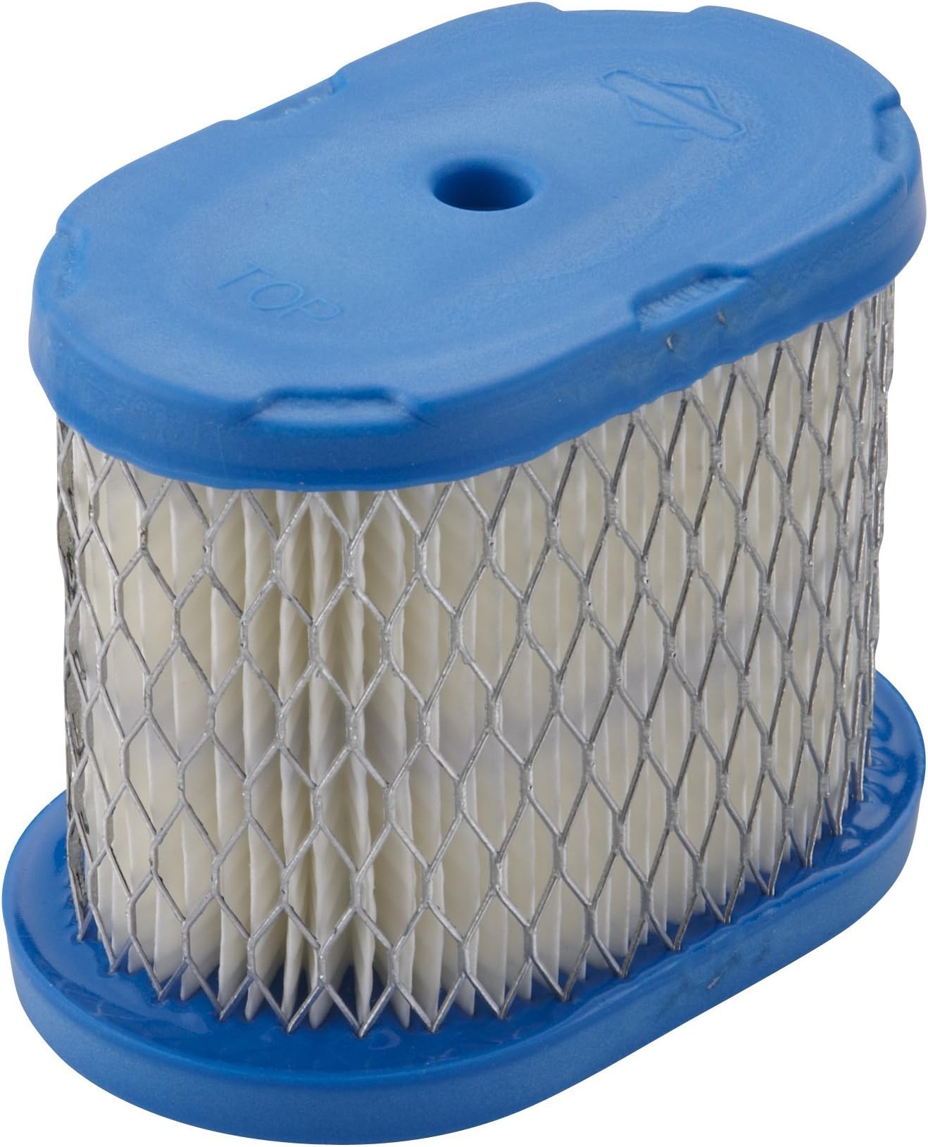 Amazon.com : Briggs & Stratton Genuine OEM 795066 (2 Pack) Oval Air ...