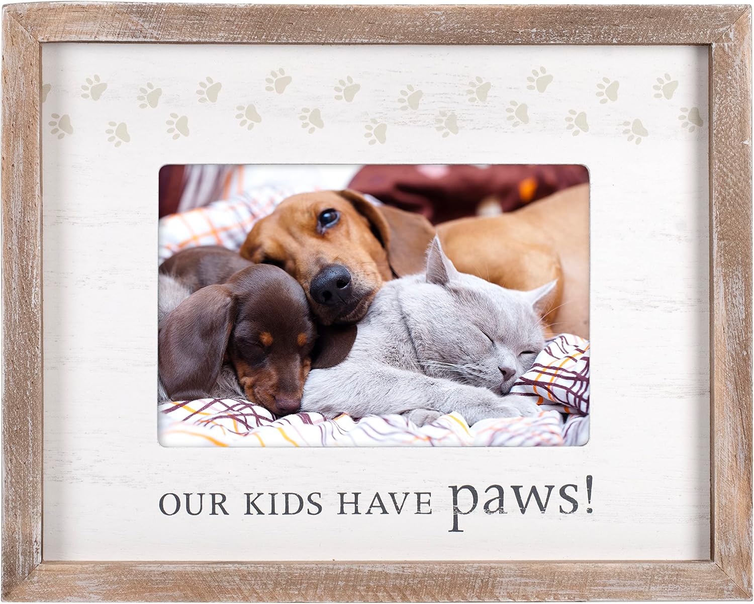 Amazon.com - Malden International Designs 4x6 Our Kids Have Paws ...
