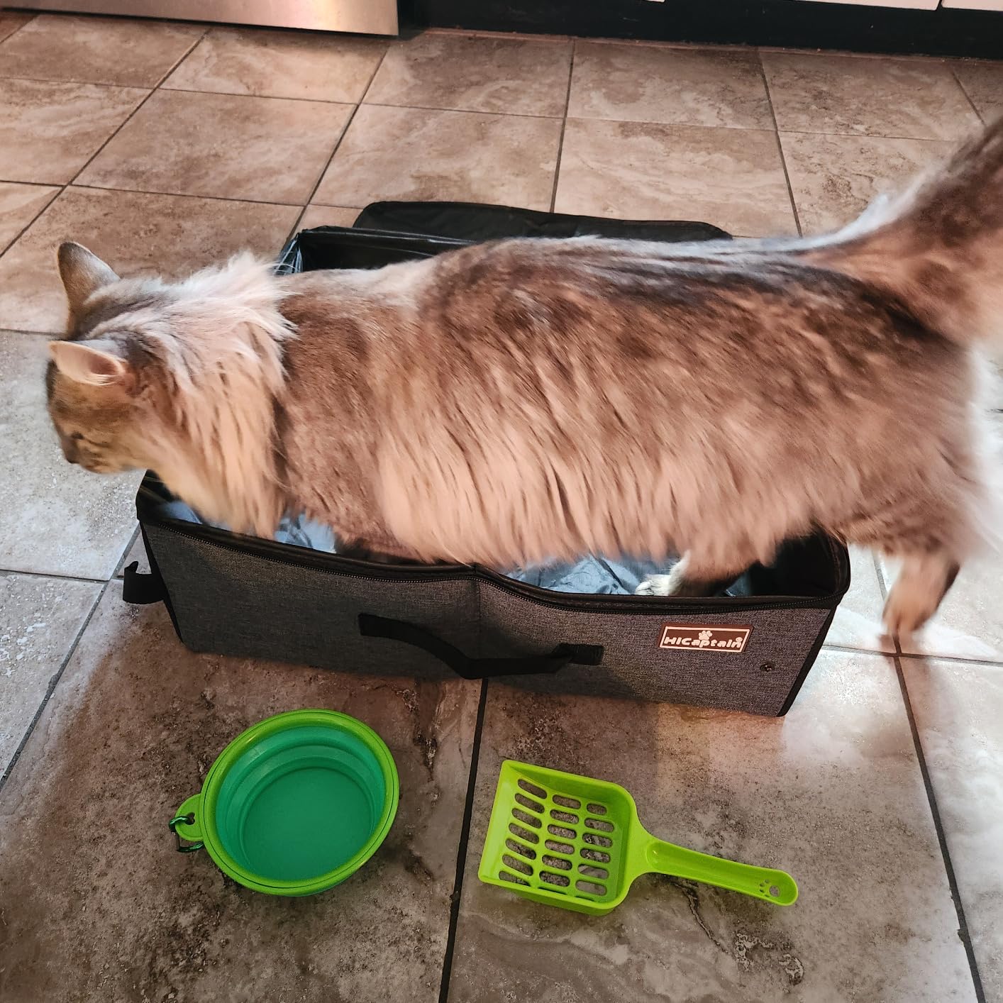 HiCaptain Portable Litter Box for Cats, Cat Travel Litter Box with Lid ...