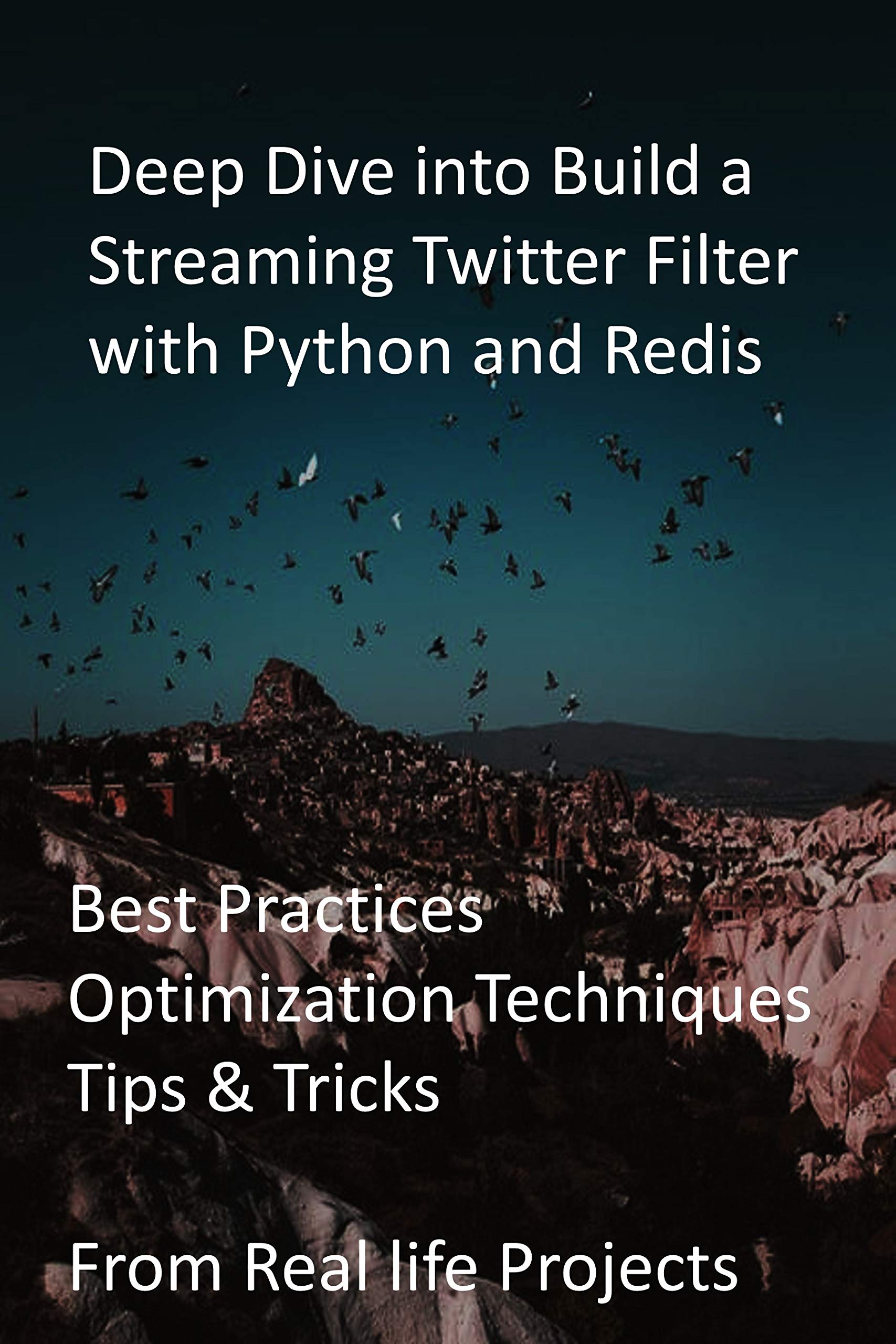 Buy Deep Dive into Build a Streaming Twitter Filter with Python and ...