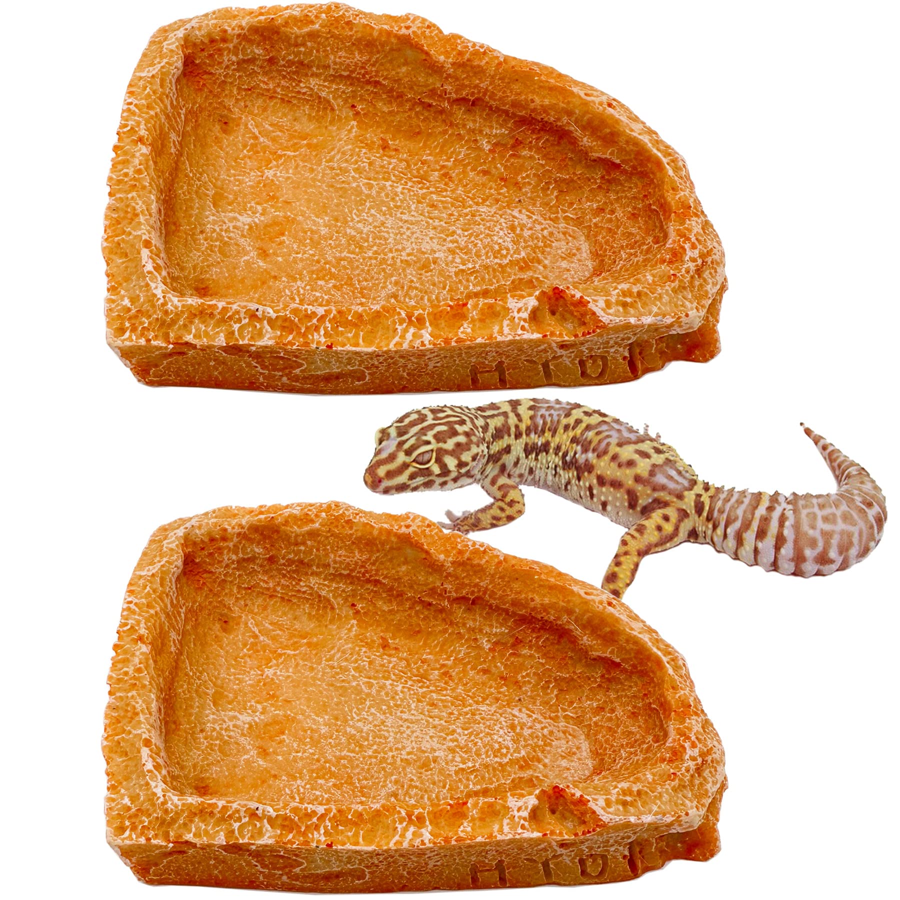 Amazon.com : 2 Pack Corner Reptile Water Dish Food Bowl Bearded Dragon ...
