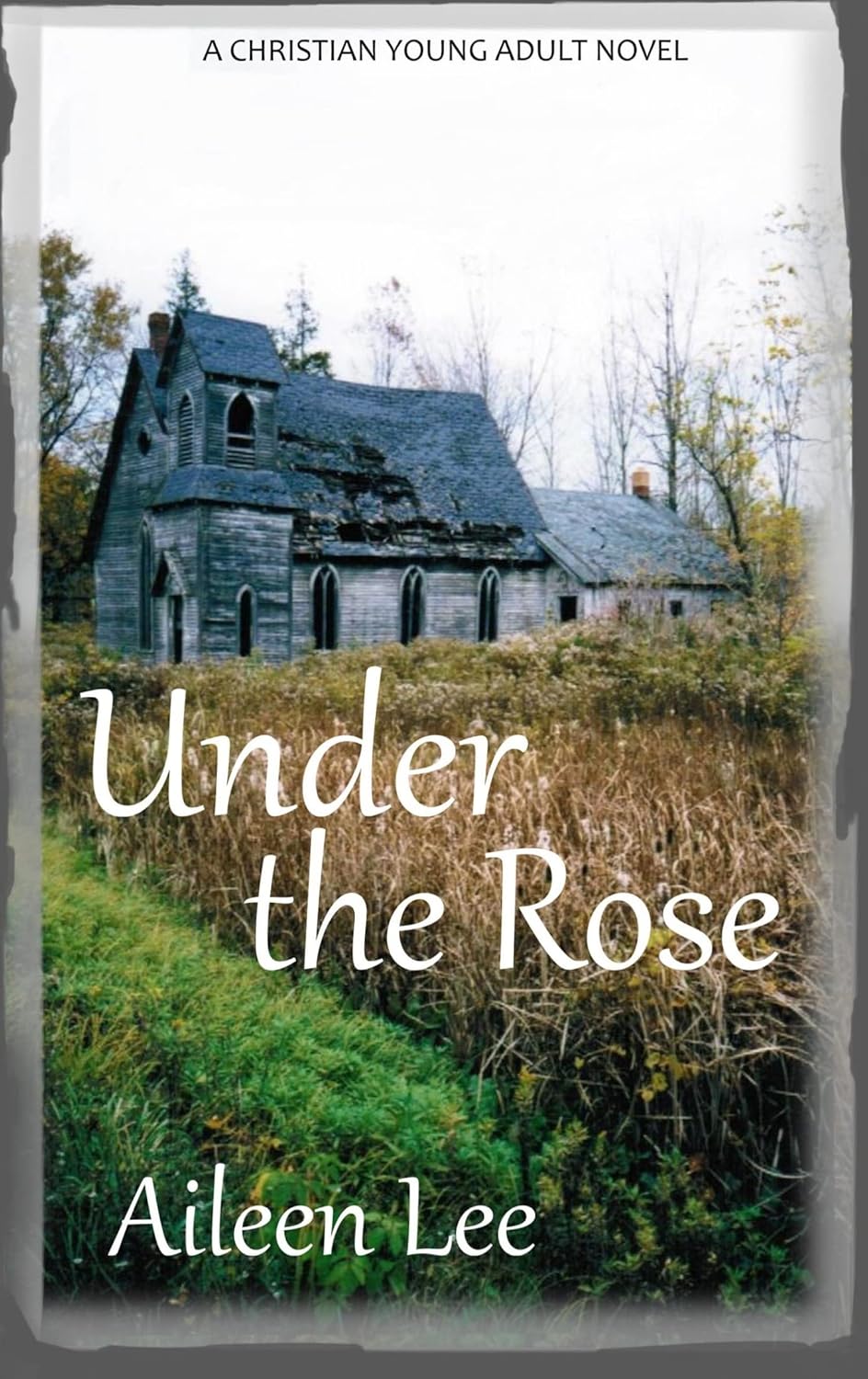 Amazon.com: Under the Rose eBook : Lee, Aileen: Books