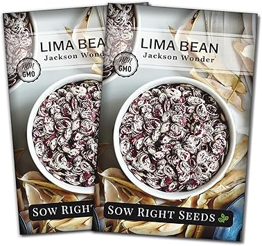 Amazon.com : Sow Right Seeds - Jackson Wonder Lima Bean Seeds for ...