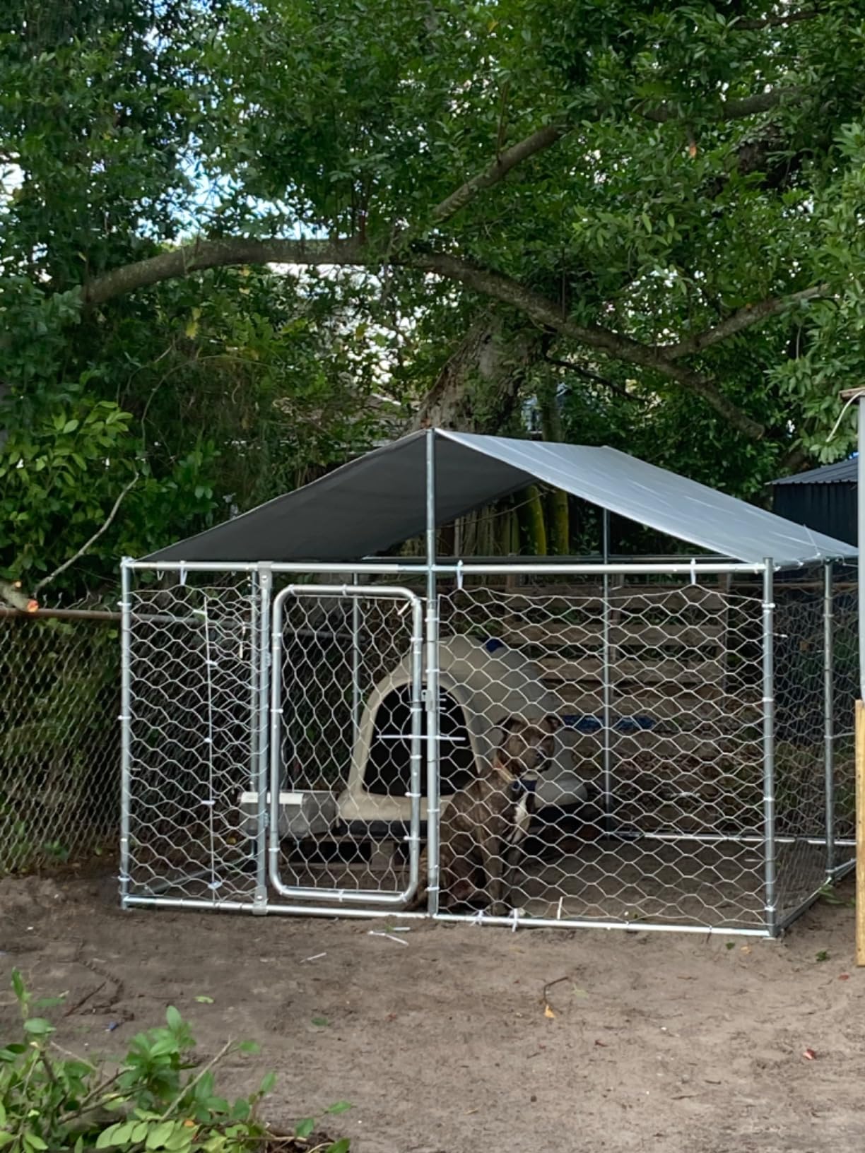 Amazon.com: Heavy Duty Dog Cage Outdoor Dog Kennels Outside Pet Playpen ...