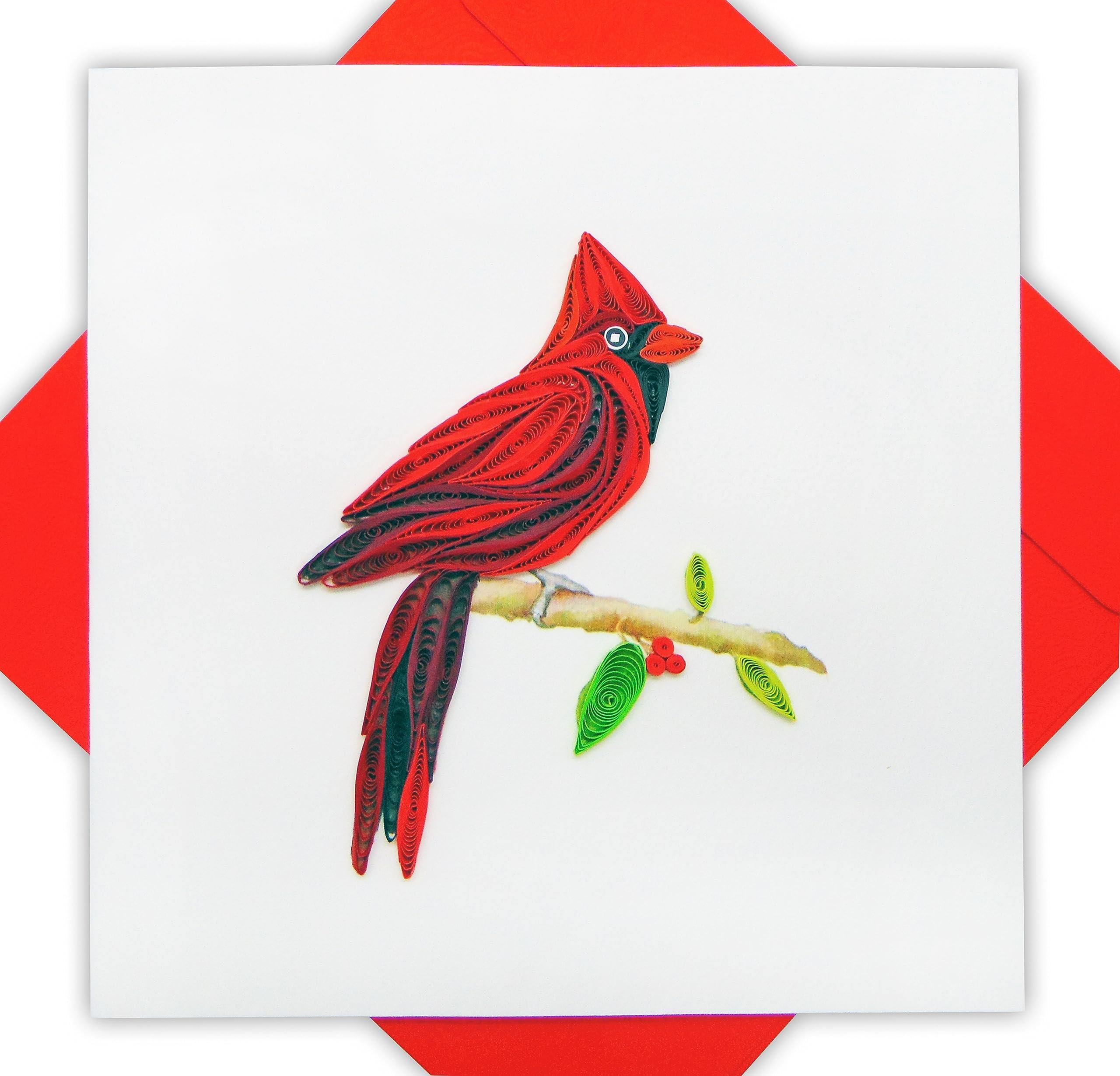 Amazon.com : DJ Rogers Fine Art Cardinal - Set of 10 Note Cards With ...