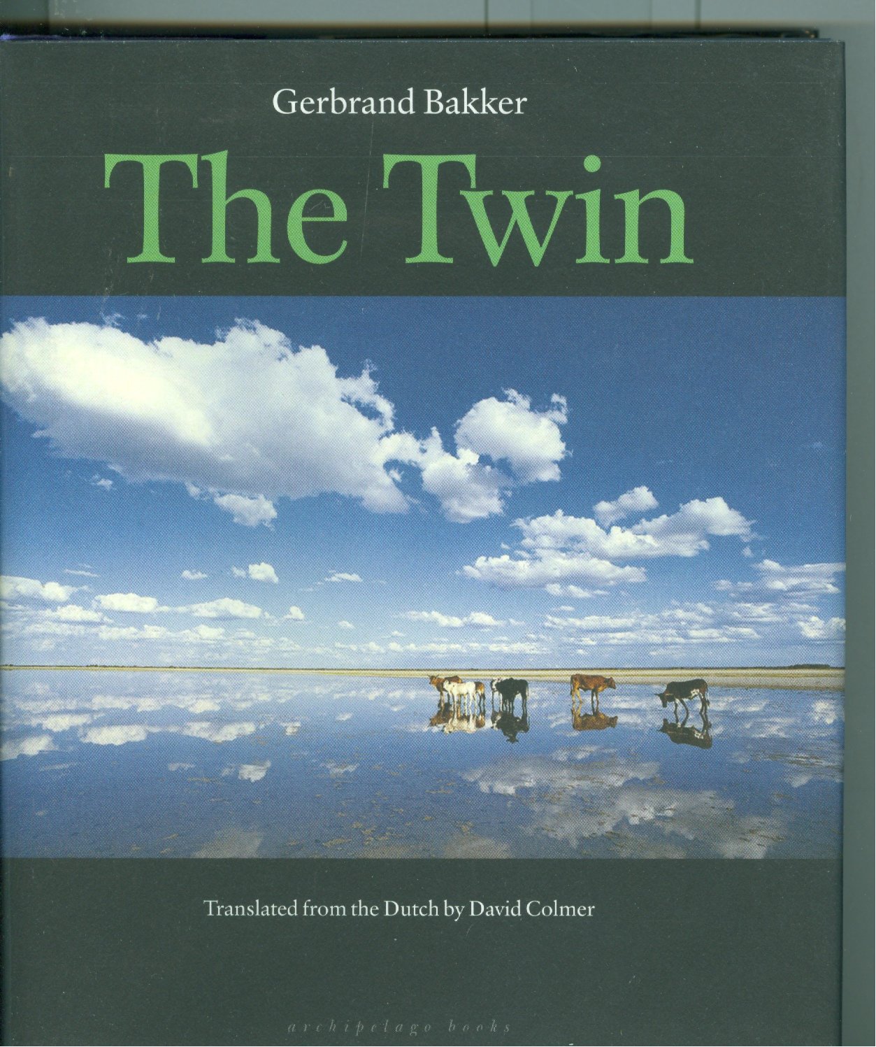 Amazon.com: The Twin: 9780980033021: Bakker, Gerband, Colmer, David: Books