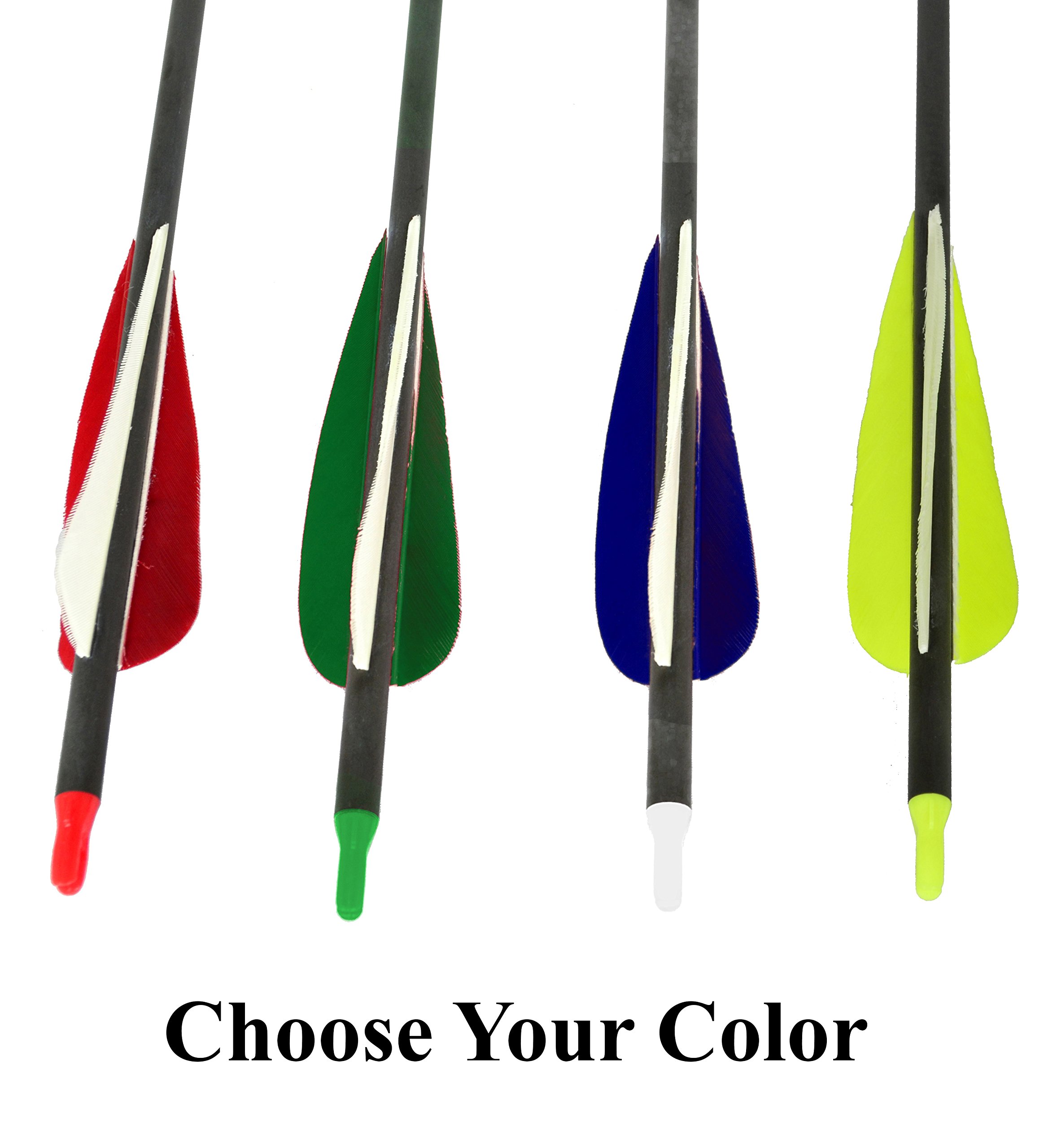 Spyder and Spyder XL Takedown Recurve Bow - Ready 2 Shoot Archery Set ...