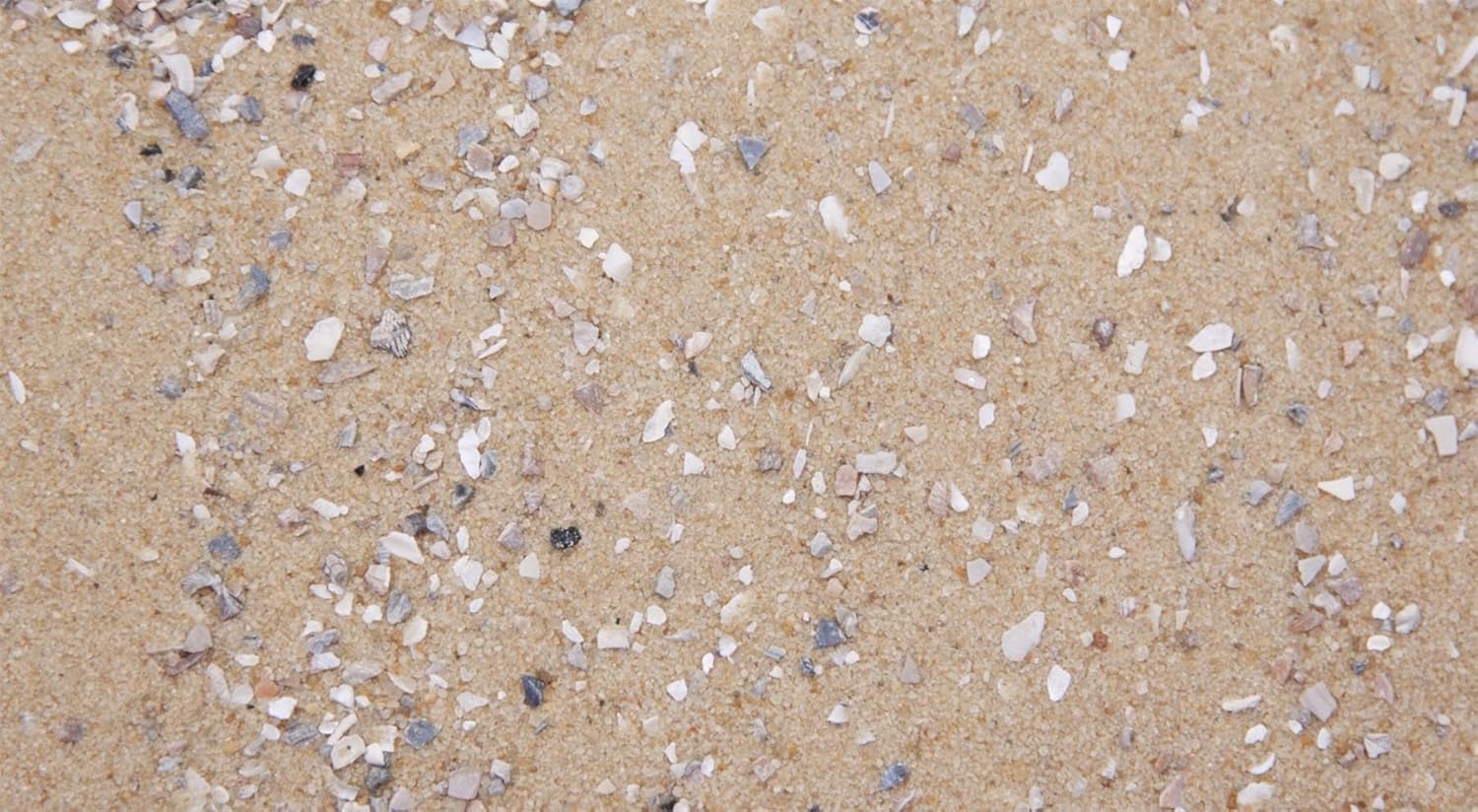 Dihl 1KG Aviary Bird Cage Sand with Oystershell, Calcium & Minerals ...